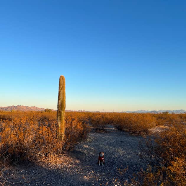 Vekol Valley Road Camping | Stanfield, Arizona