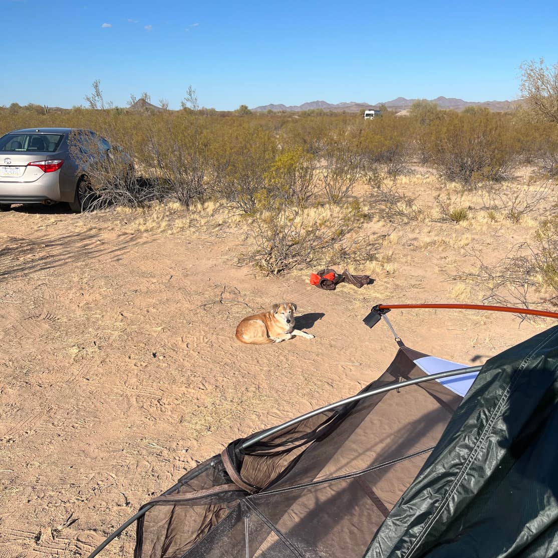 Vekol Valley Road Camping | Stanfield, Arizona