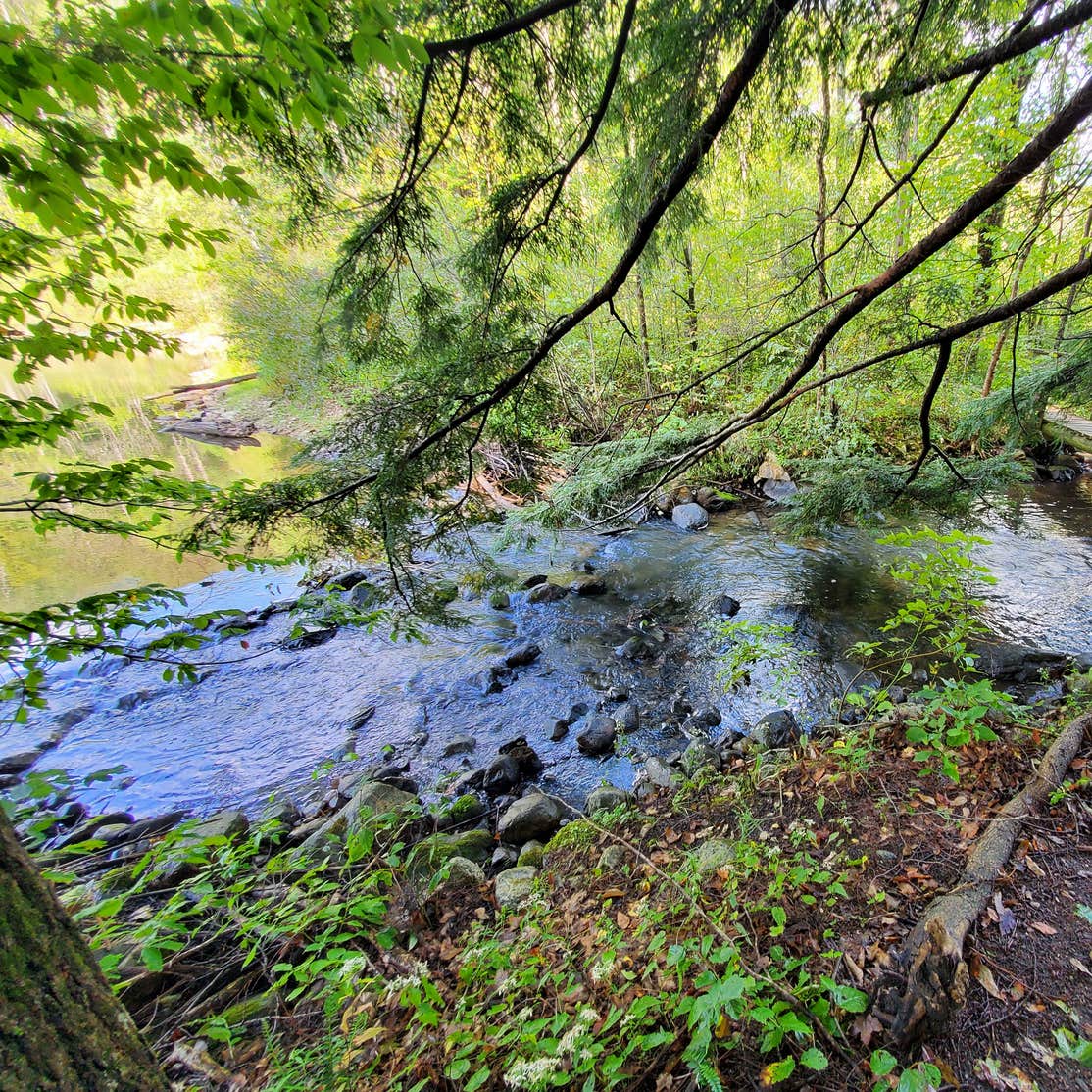 Emerald Lake State Park Campground | Danby, Vermont