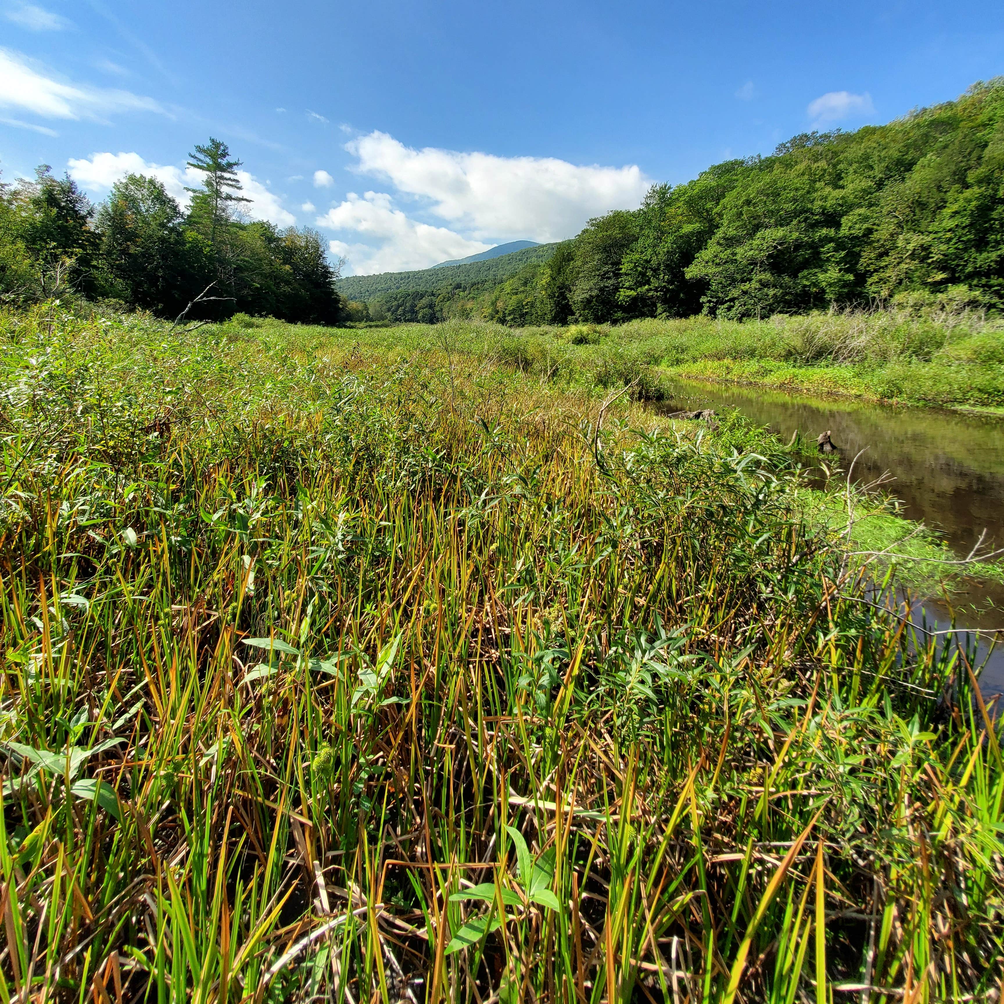 Emerald Lake State Park Campground | Danby, Vermont