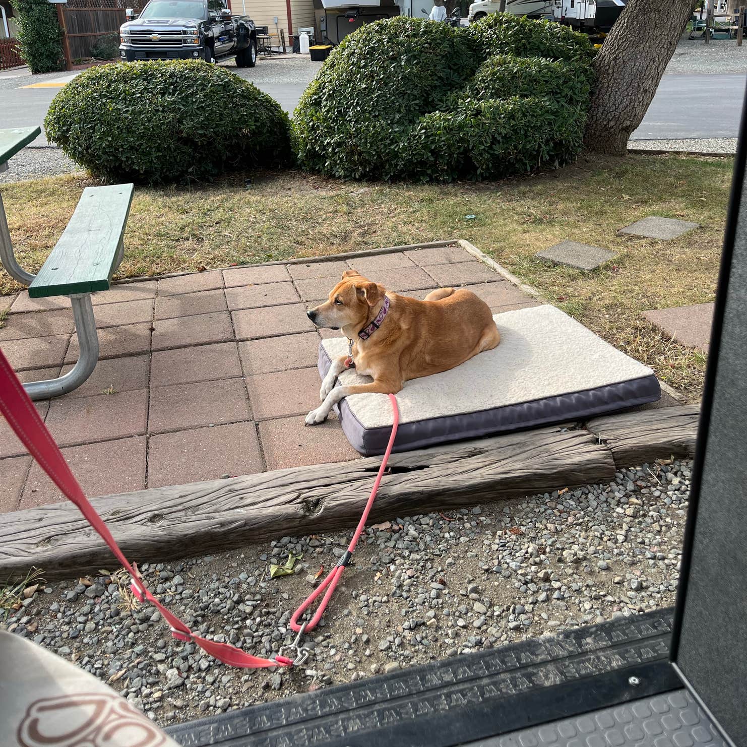 Vineyard RV Park | Vacaville, California