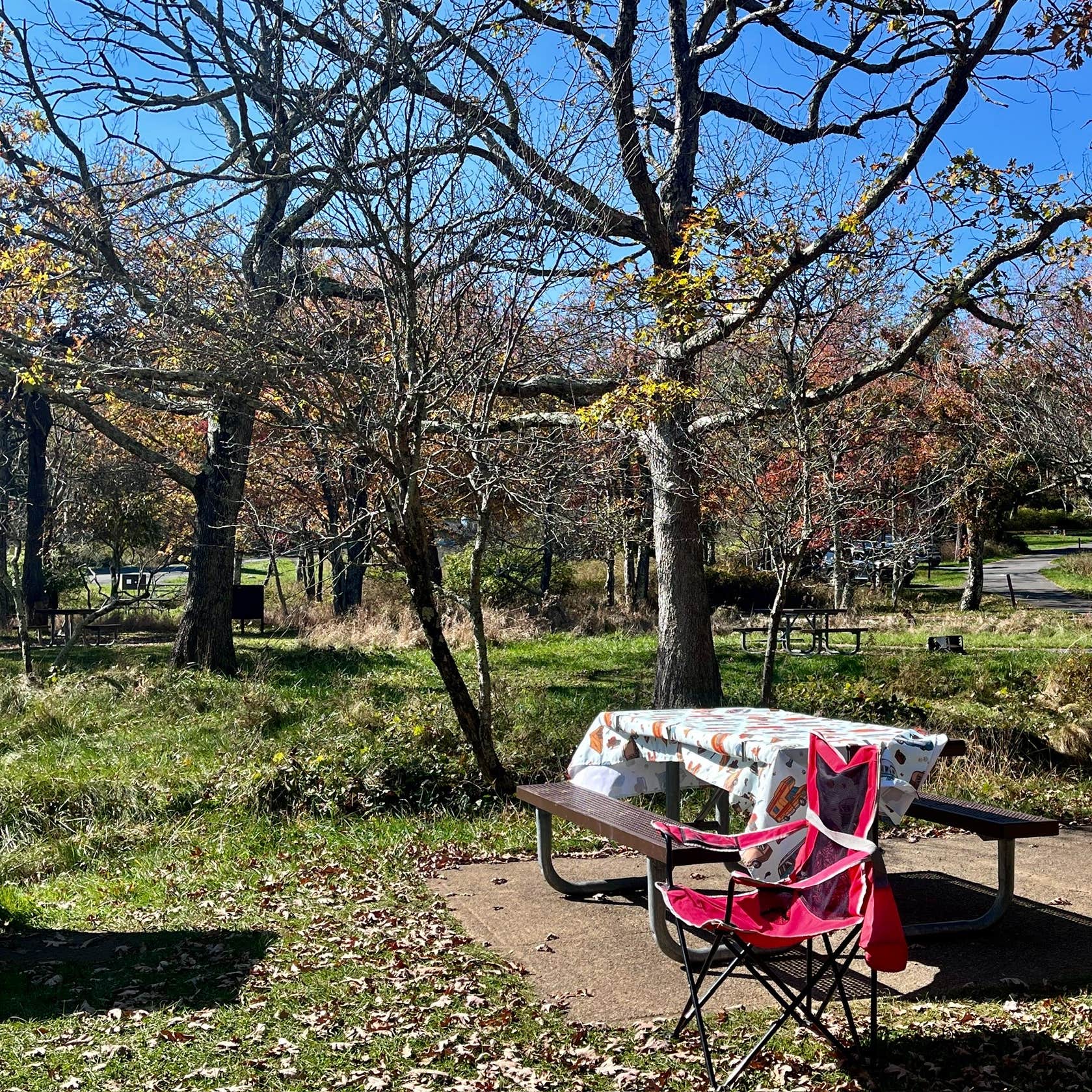 Big Meadows Campground — Shenandoah National Park | Stanley, Virginia
