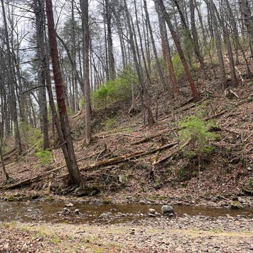 Braley Pond Dispersed Camping & Day Use Area | West Augusta, Virginia