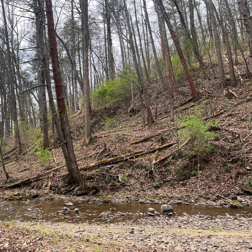 Braley Pond Dispersed Camping & Day Use Area | West Augusta, Virginia