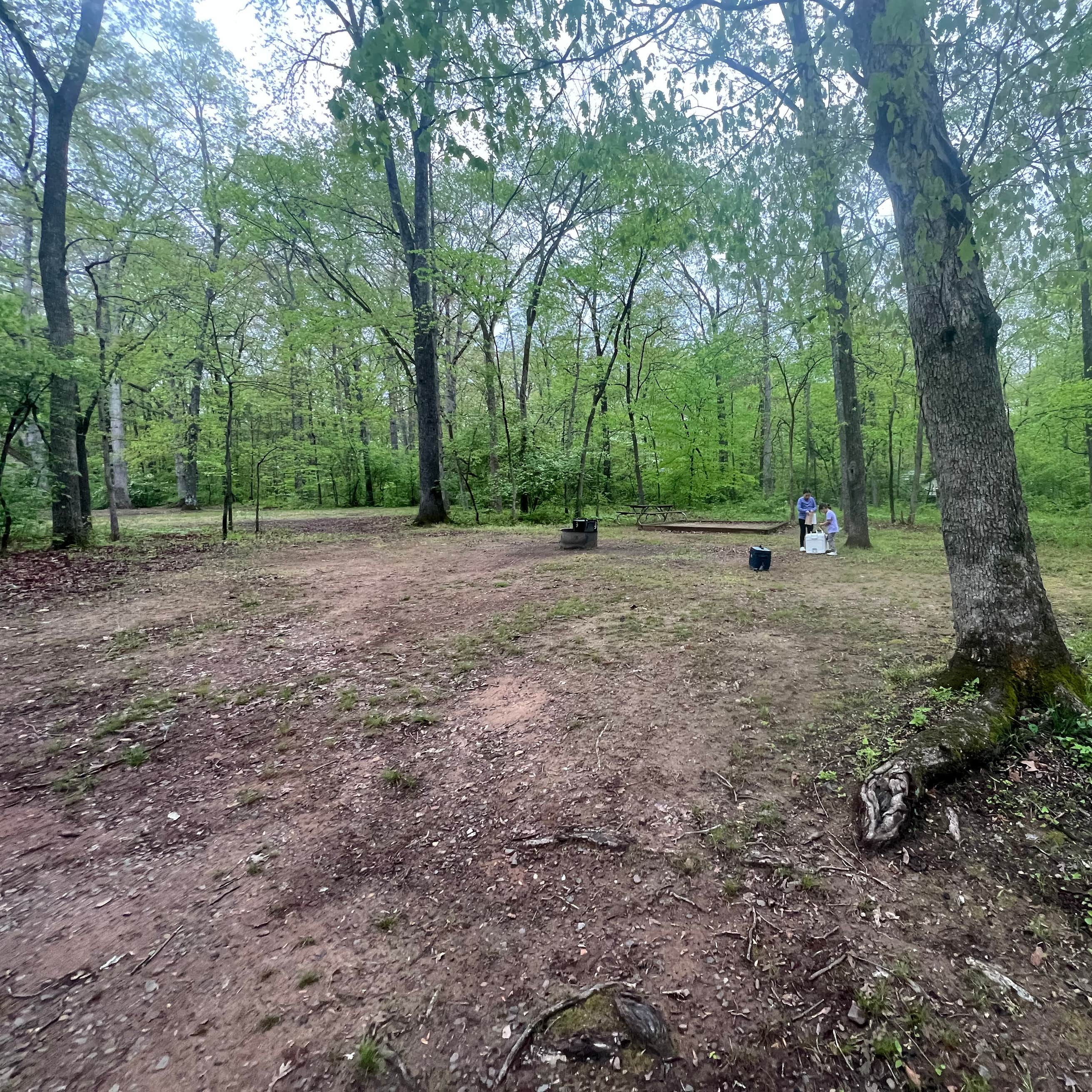 Bull Run Regional Park Camping | Iron Gate, Virginia