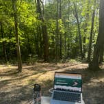 Bull Run Regional Park Camping | Iron Gate, Virginia