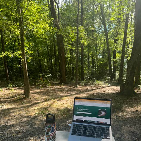 Bull Run Regional Park Camping | Iron Gate, Virginia