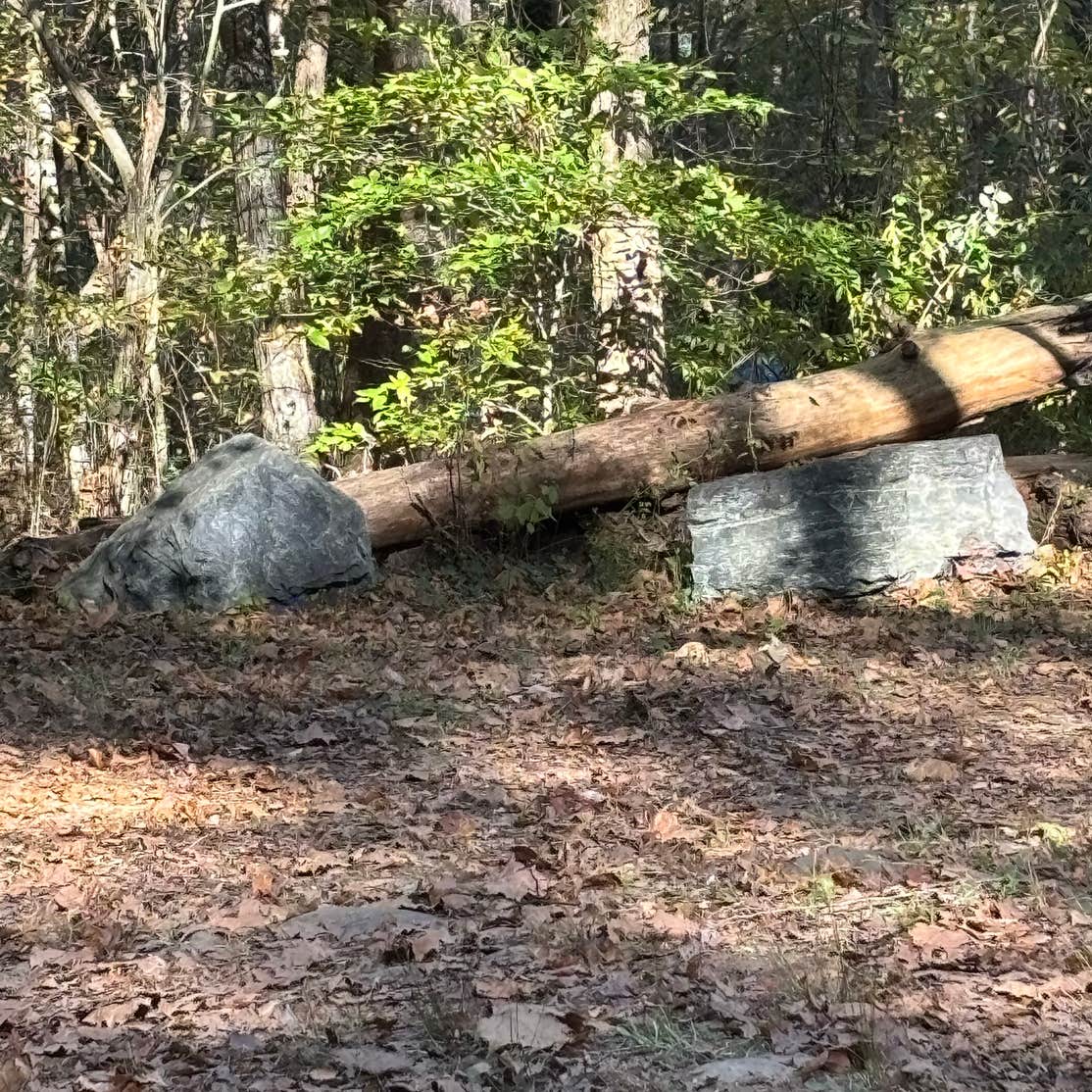 Oronoco Campground | Buena Vista, Virginia