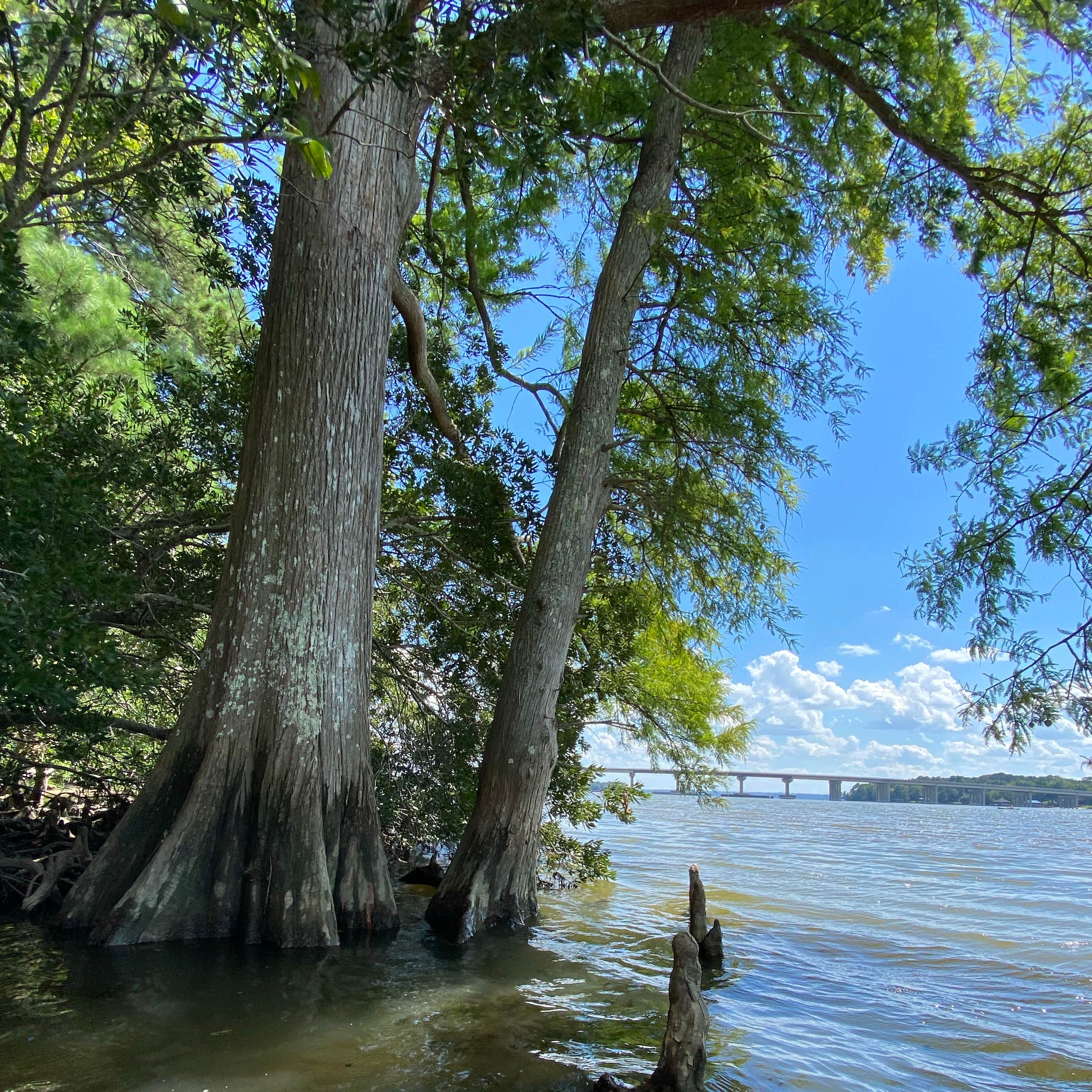 Chickahominy Riverfront Park Camping | Jamestown, Virginia