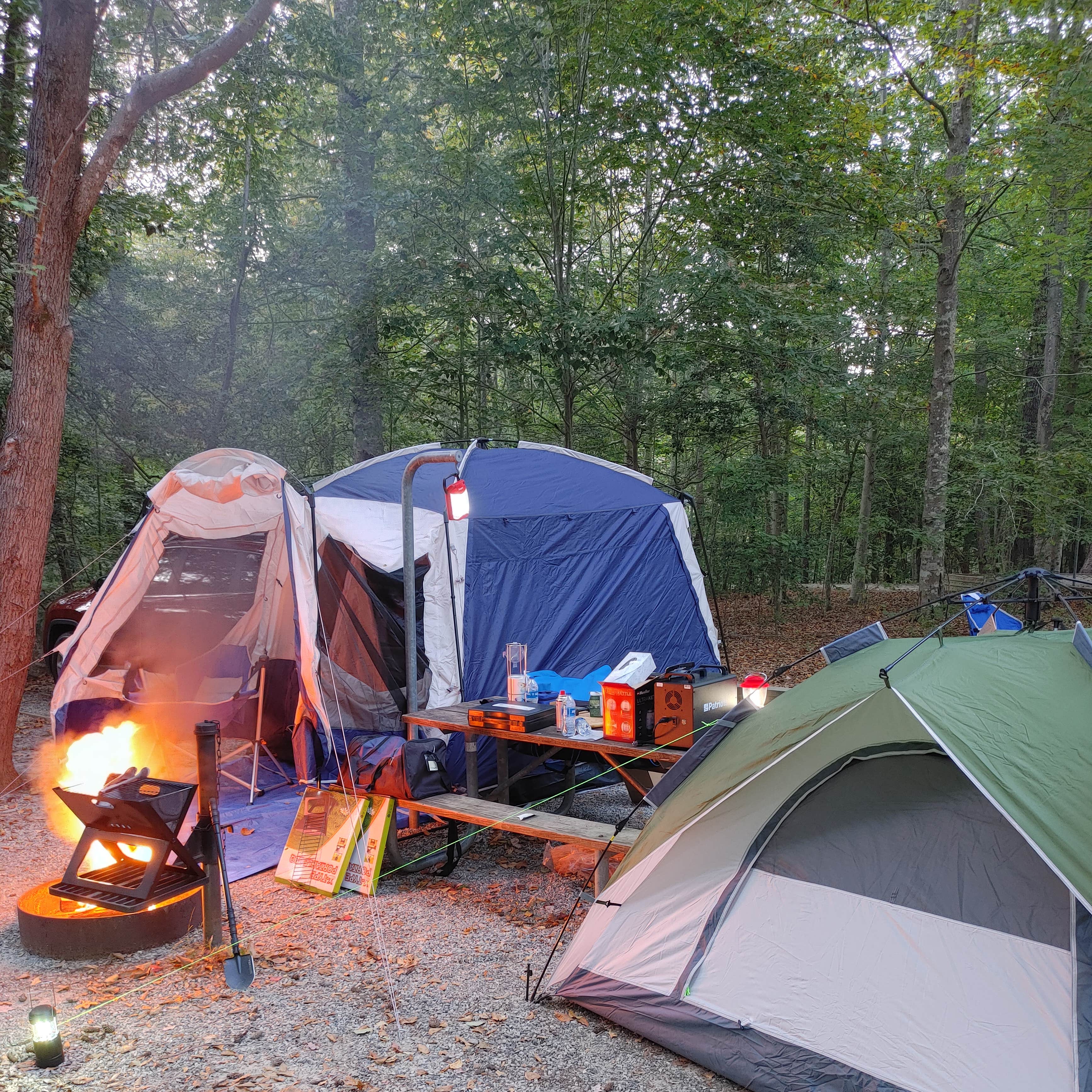 Chippokes State Park Campground | Jamestown, Virginia