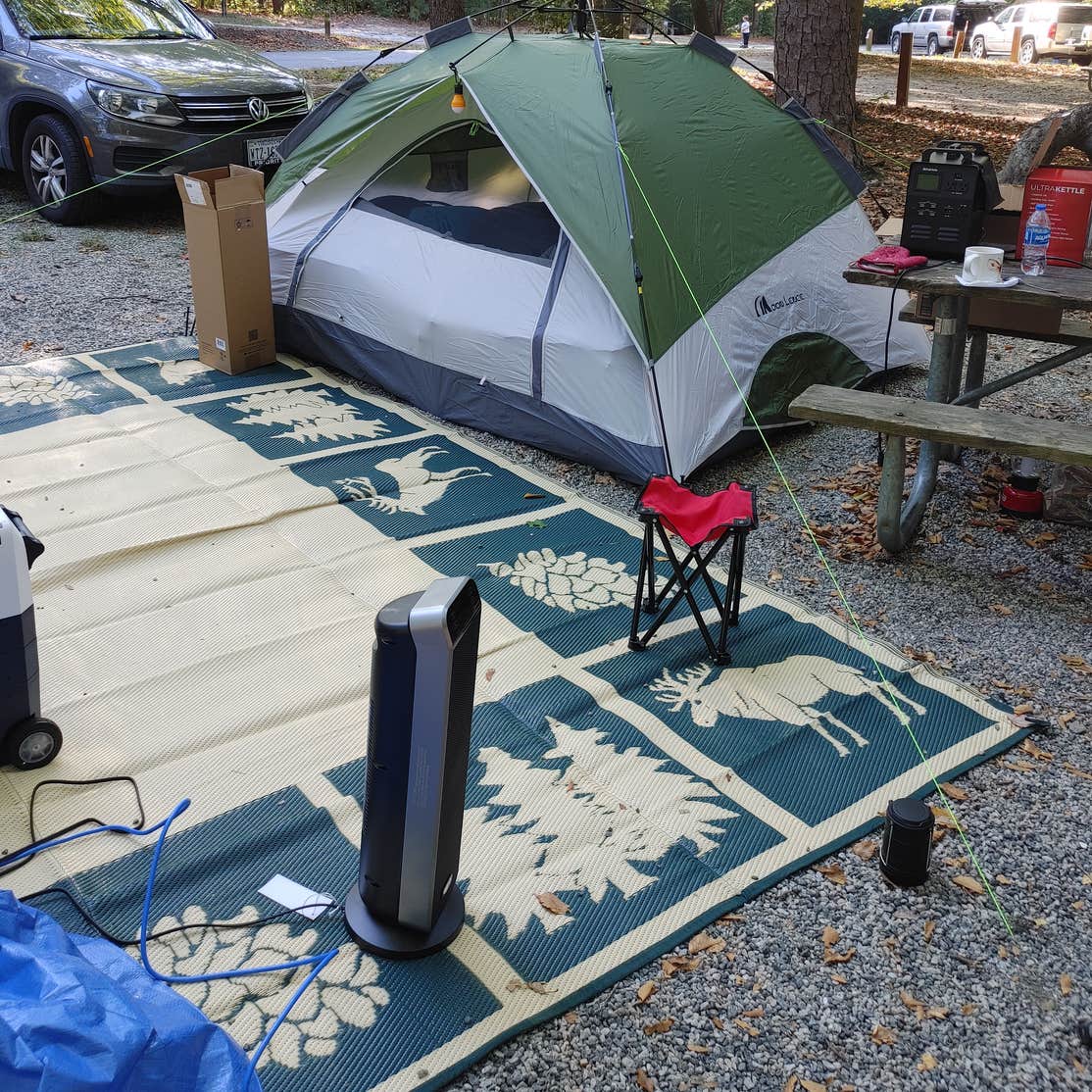 Chippokes State Park Campground | Surry, VA