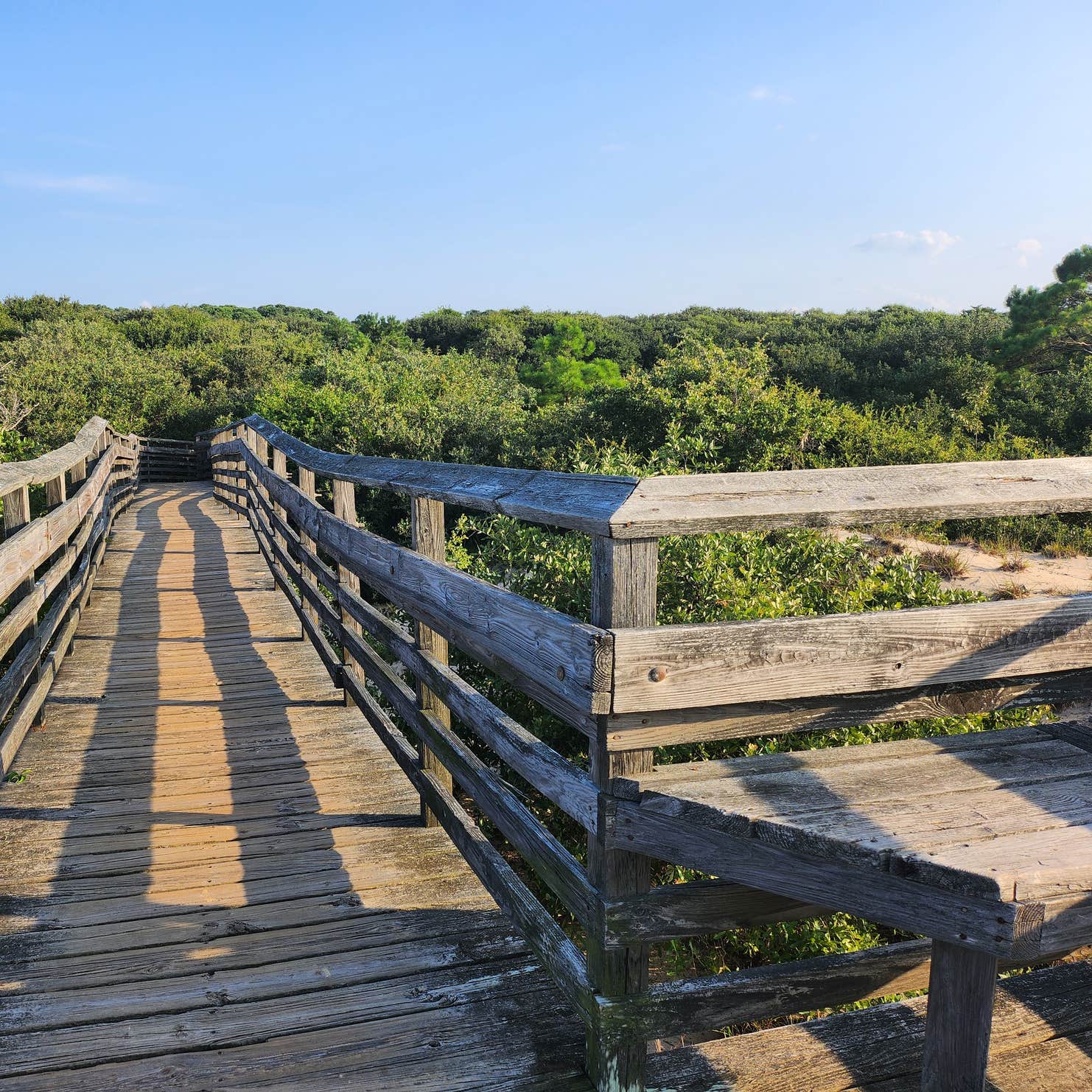 First Landing State Park Campground | Virginia Beach, Virginia