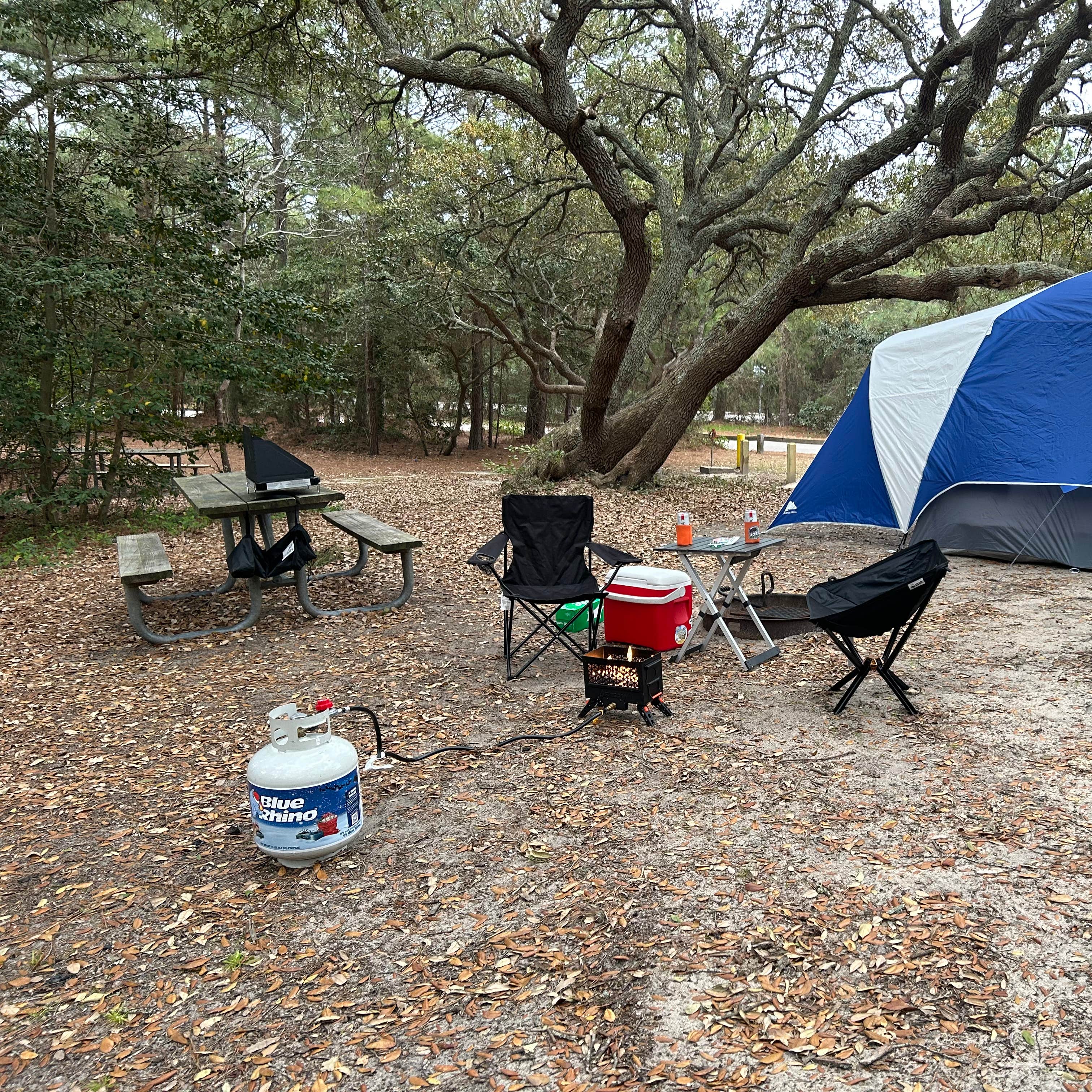 First Landing State Park Campground | Virginia Beach, VA