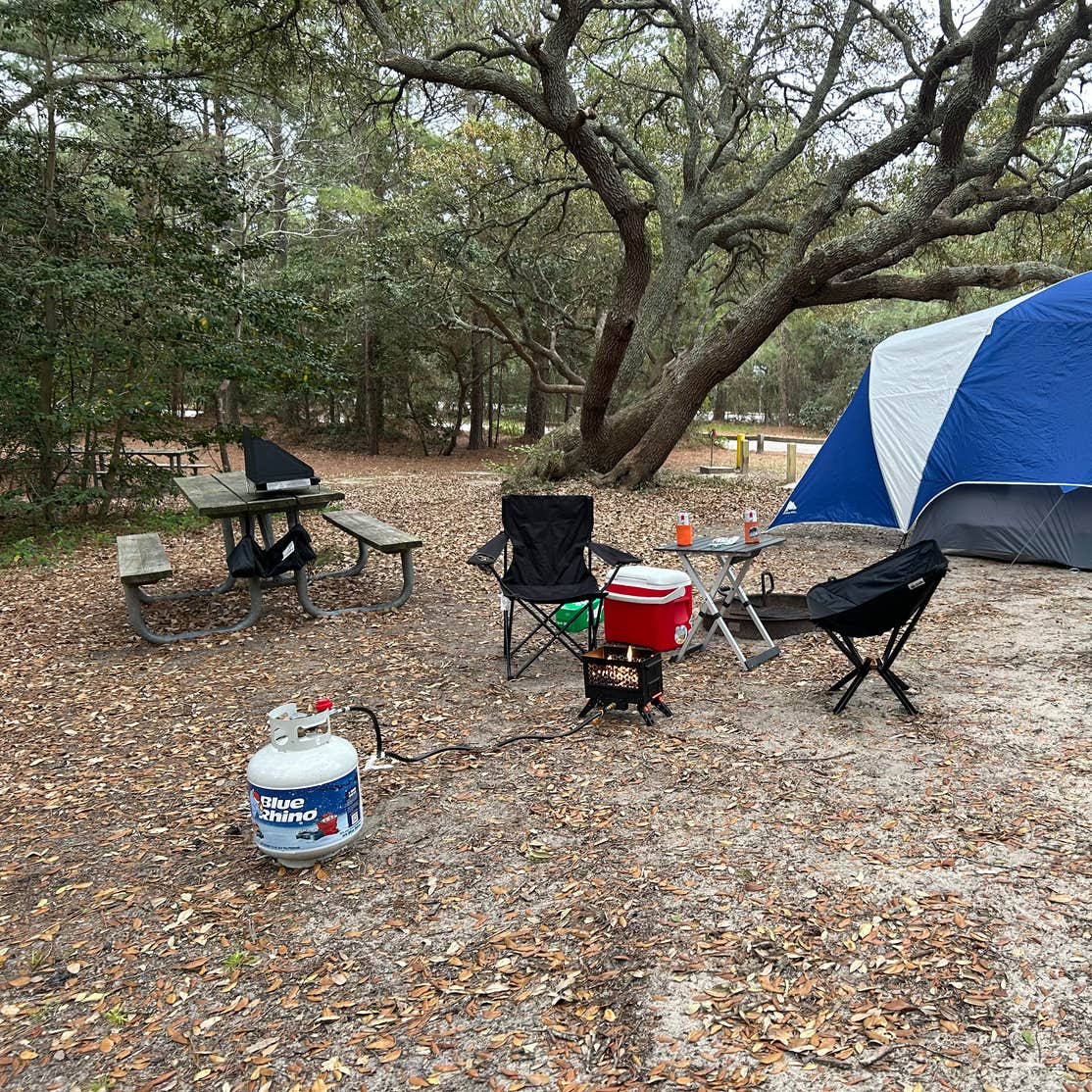 First Landing State Park Campground | Virginia Beach, Virginia