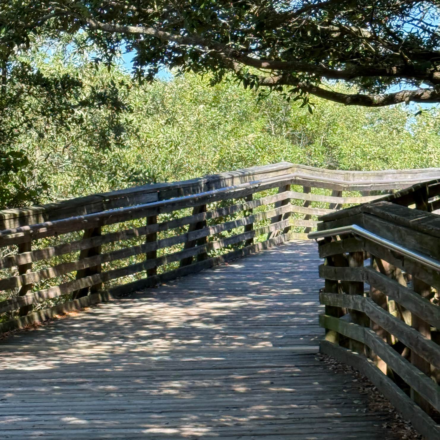 First Landing State Park Campground | Virginia Beach, Virginia