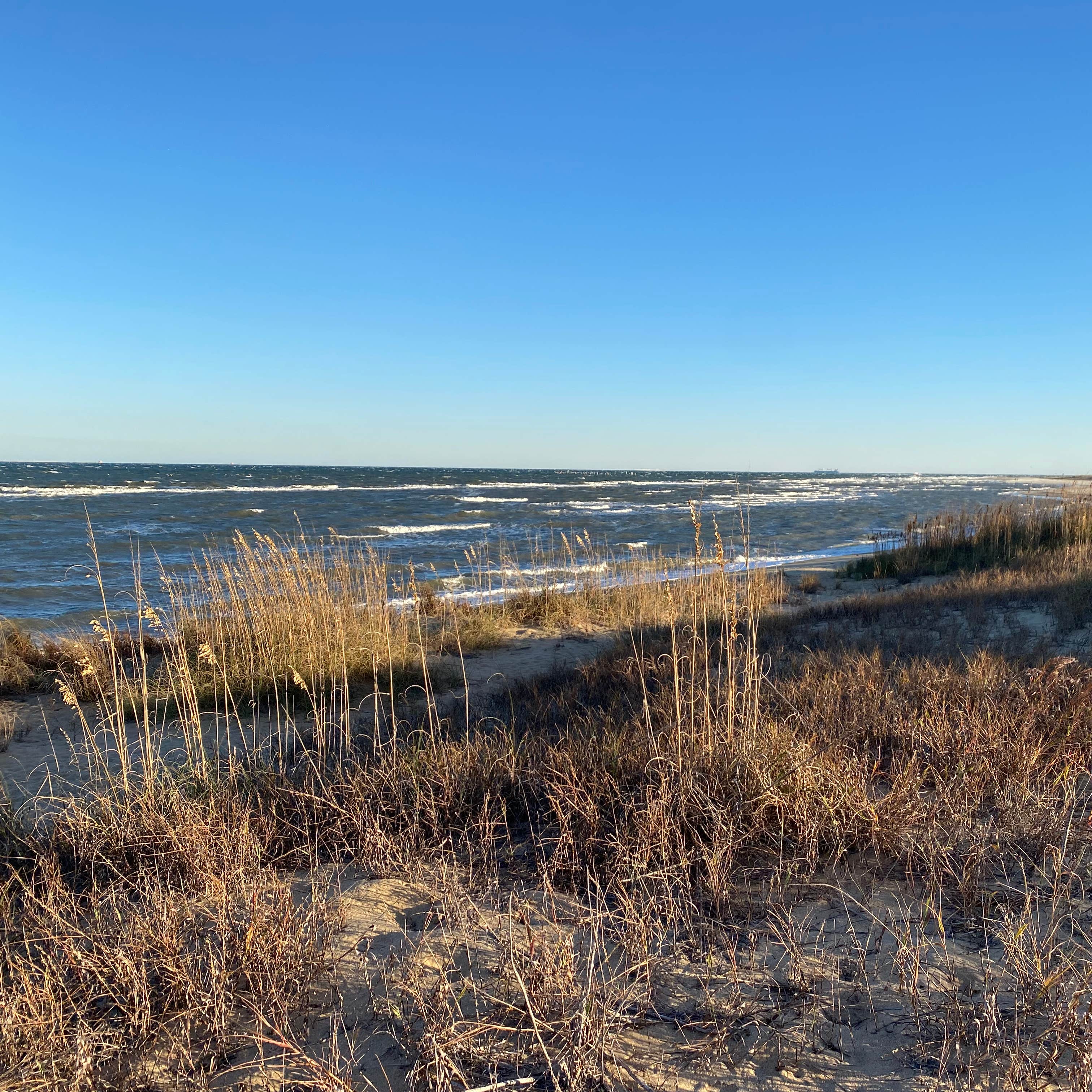 First Landing State Park Campground | Virginia Beach, Virginia