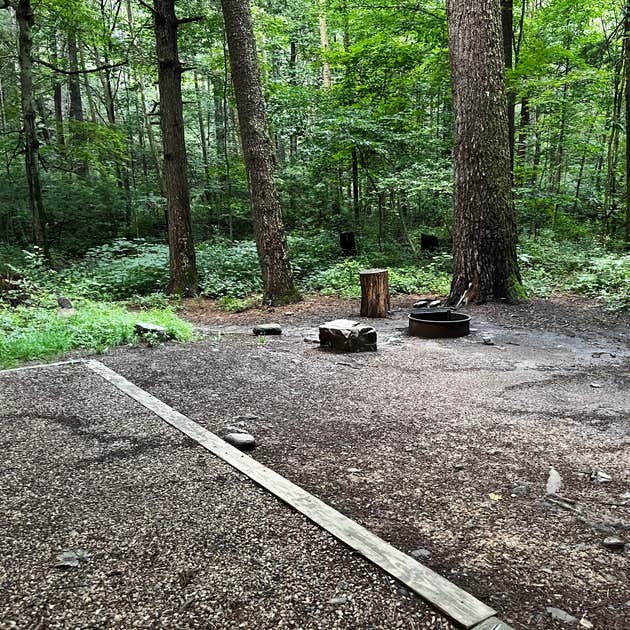 Hone Quarry Camping | Mount Solon, Virginia