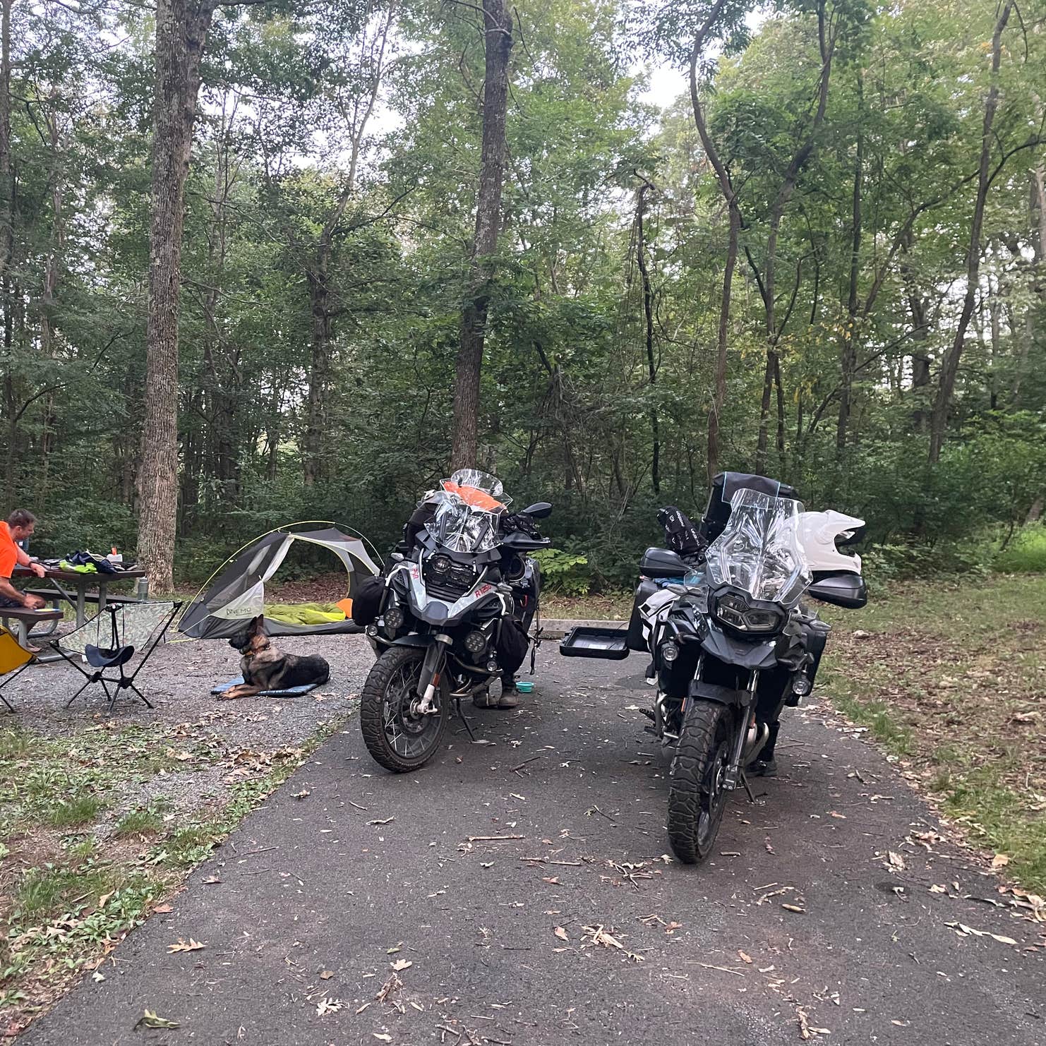Mathews Arm Campground — Shenandoah National Park | Rileyville, Virginia