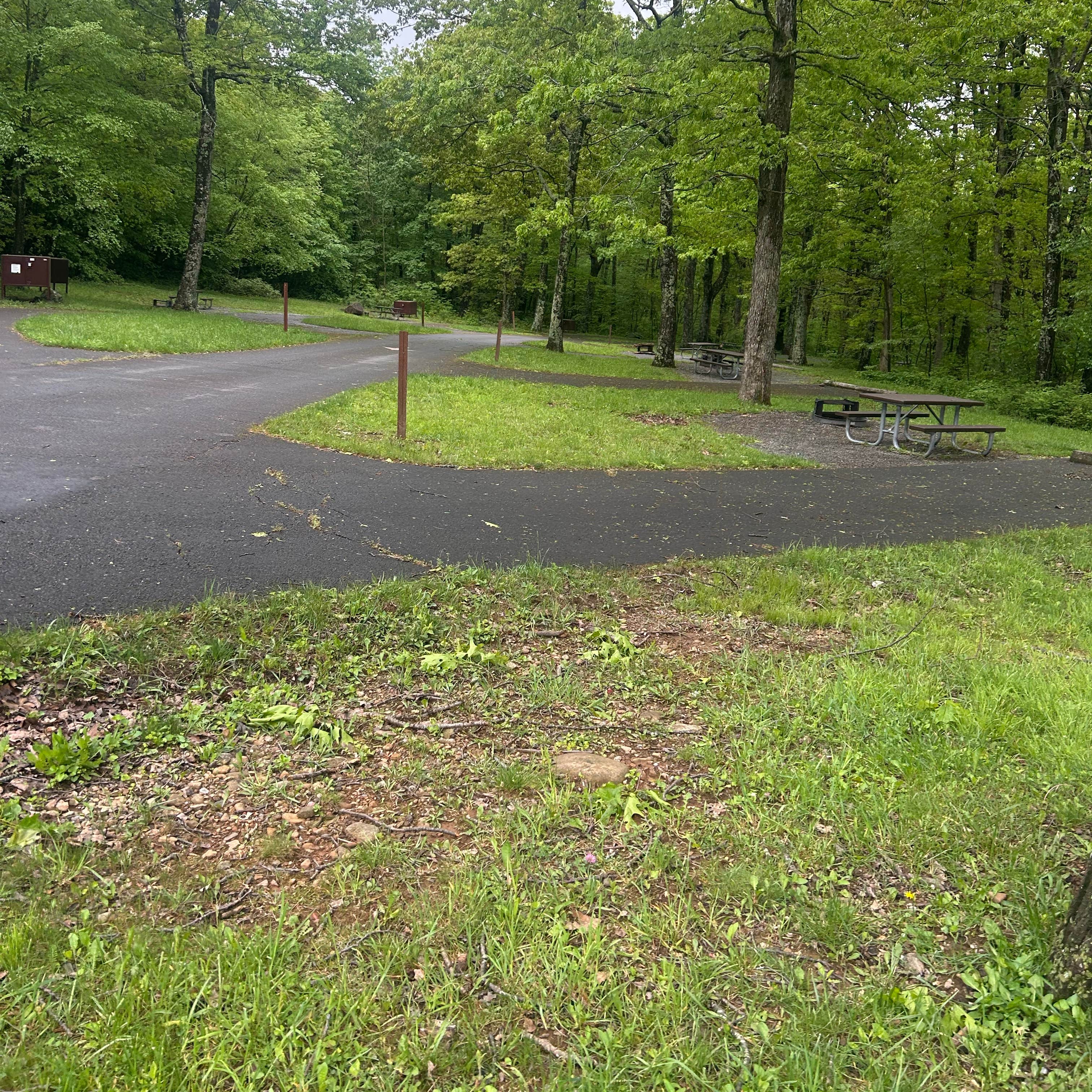 Mathews Arm Campground — Shenandoah National Park | Rileyville, Virginia