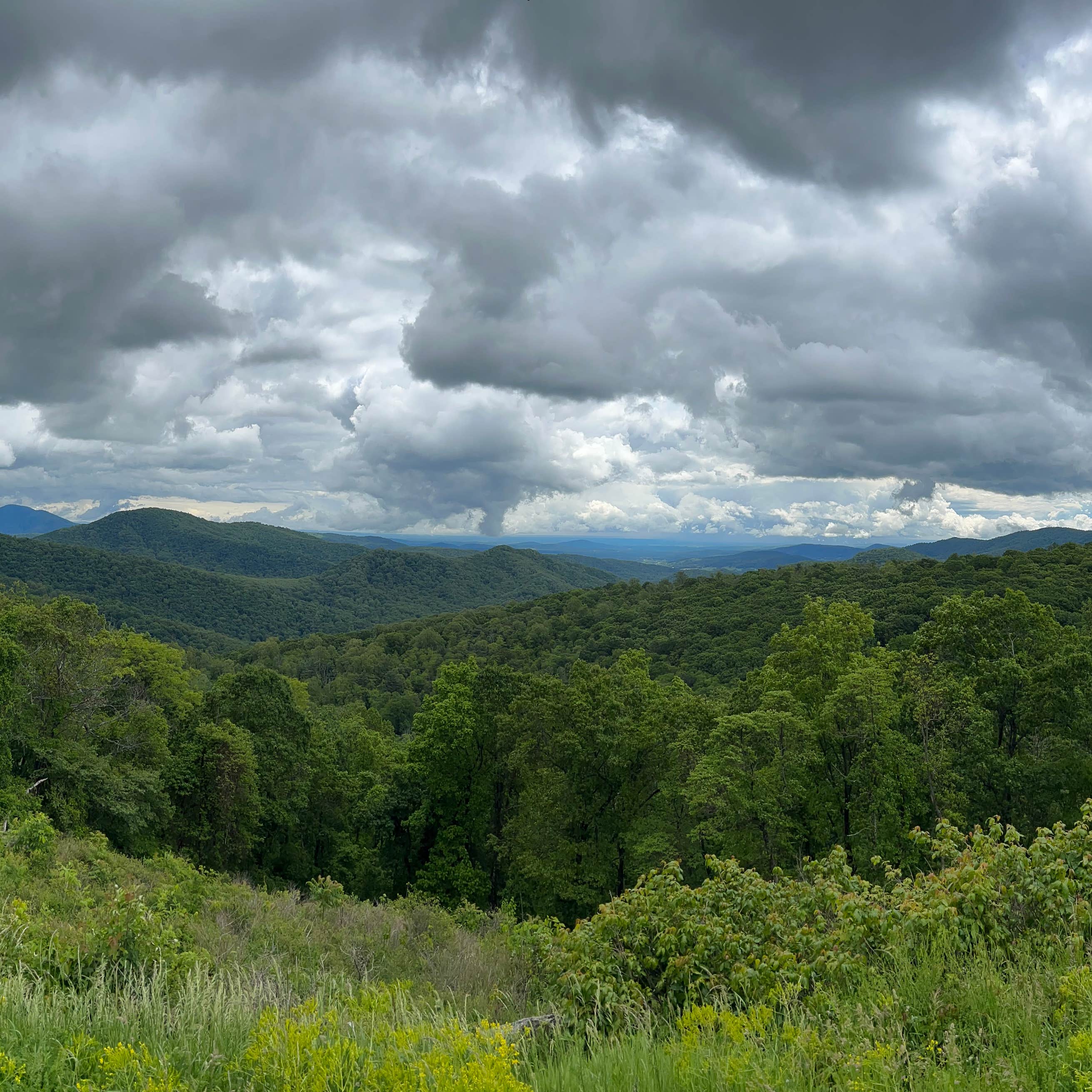Mathews Arm Campground — Shenandoah National Park | Rileyville, Virginia