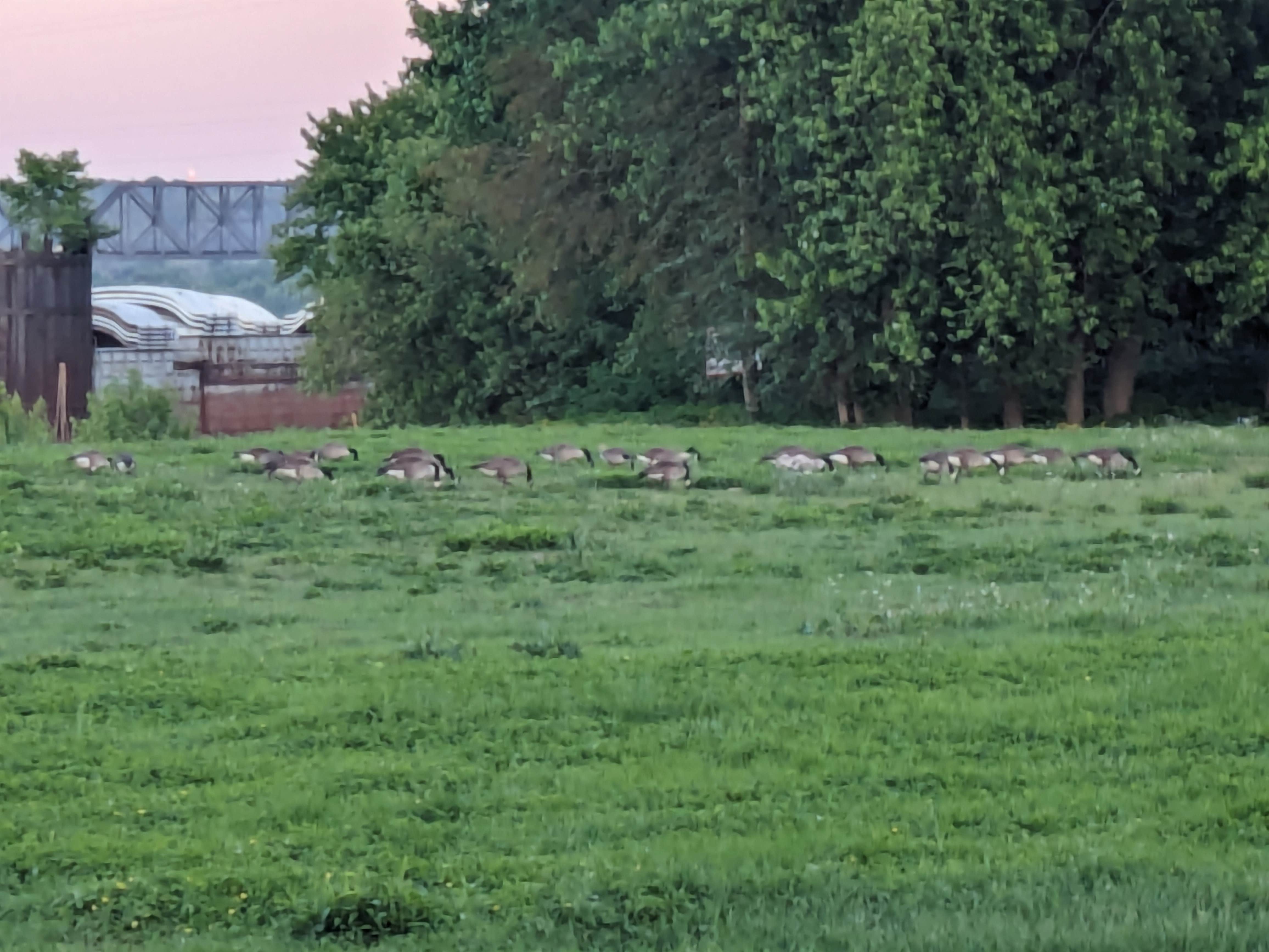 Virginia Point Campground | Ashland, WV