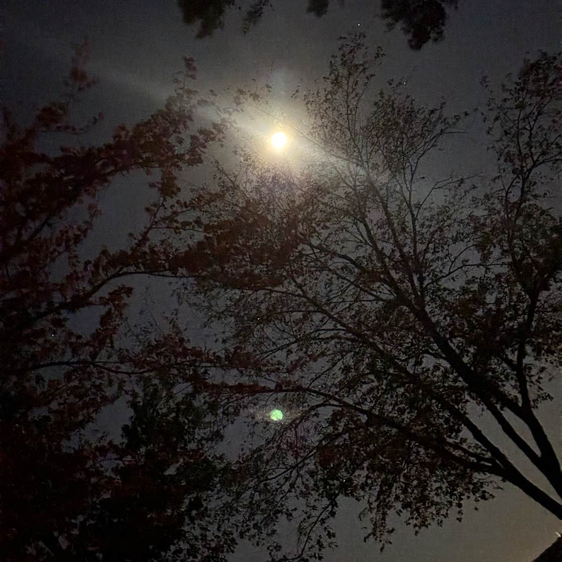 Wanderlust RV Park | Eureka Springs, Arkansas