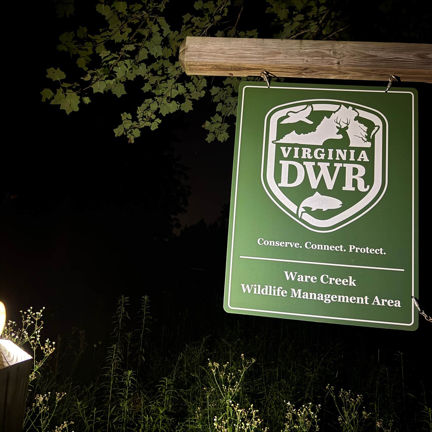 Ware Creek Wildlife Management Area Camping | Barhamsville, Virginia