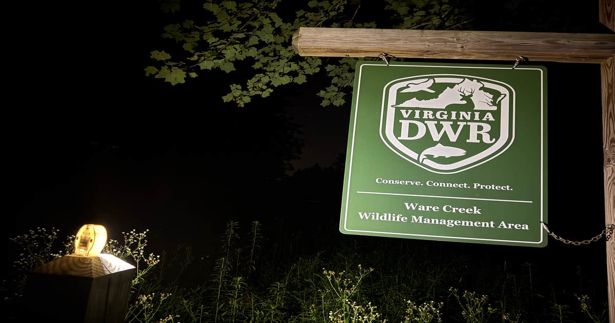 Ware Creek Wildlife Management Area Camping | Barhamsville, Virginia