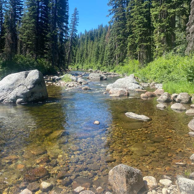 Warren Wagon Rd Camping | McCall, Idaho