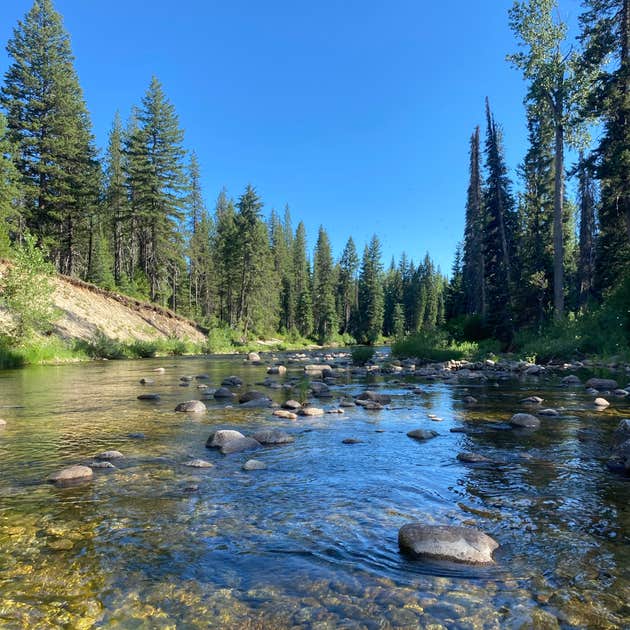 Warren Wagon Rd Camping | McCall, Idaho