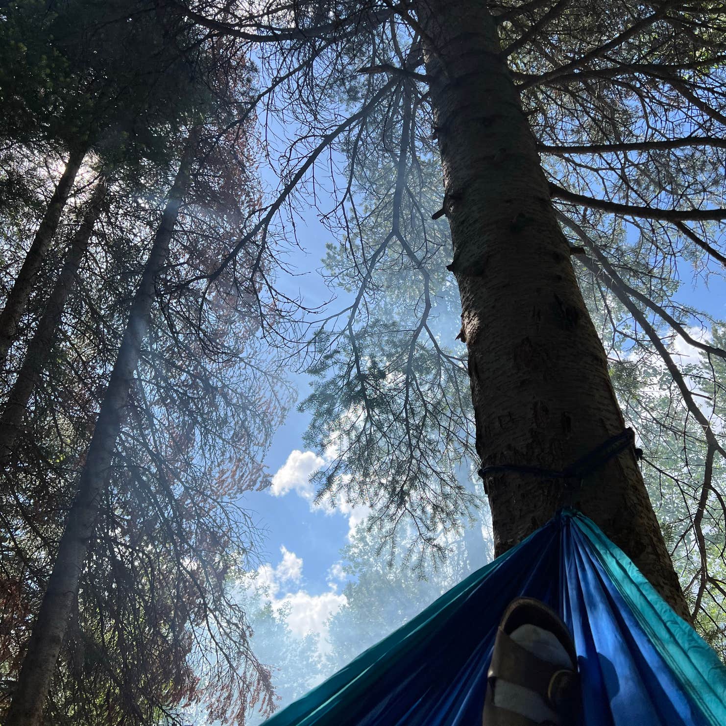 Wasatch National Forest Soapstone Campground | Kamas, Utah