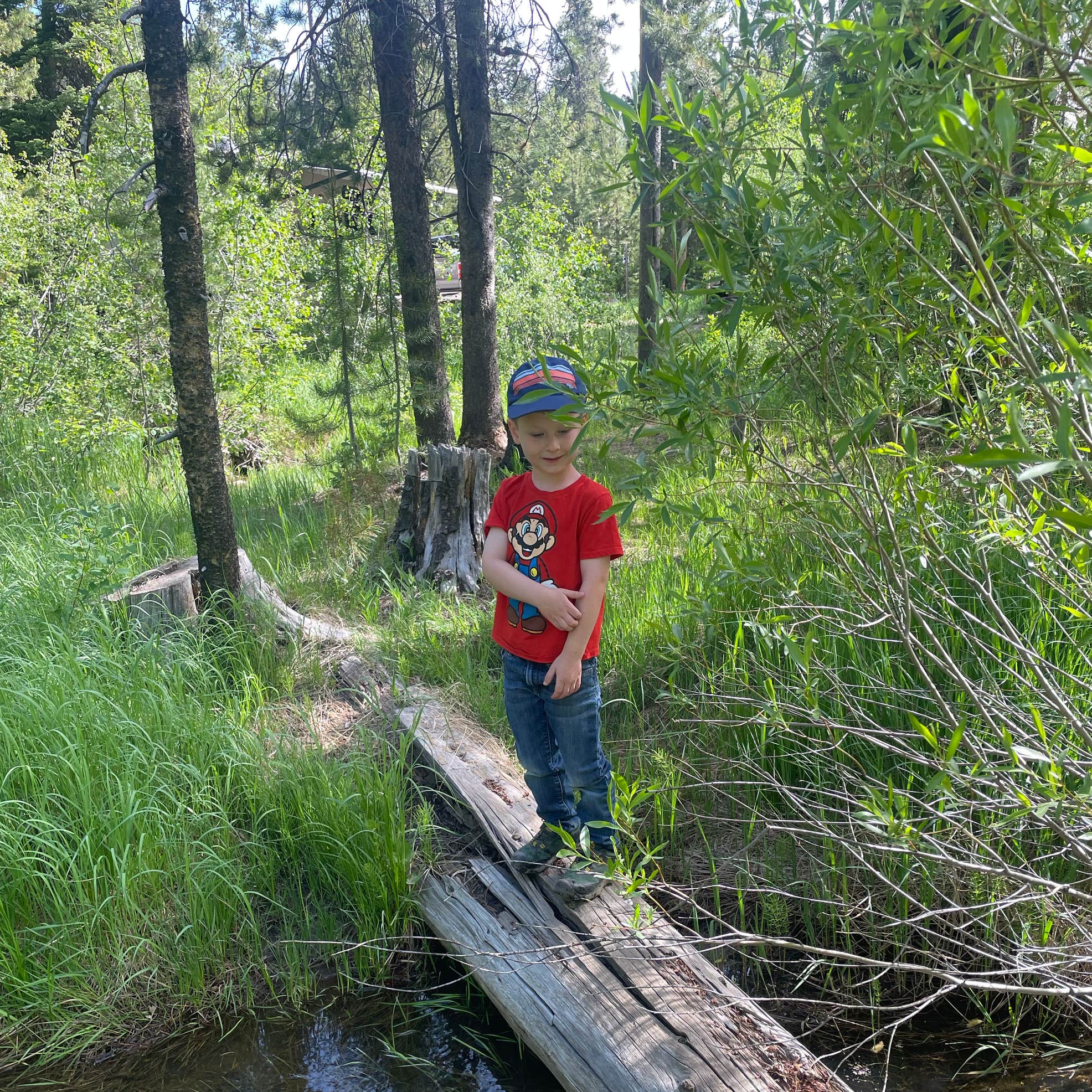 Wasatch National Forest Soapstone Campground | Kamas, Utah