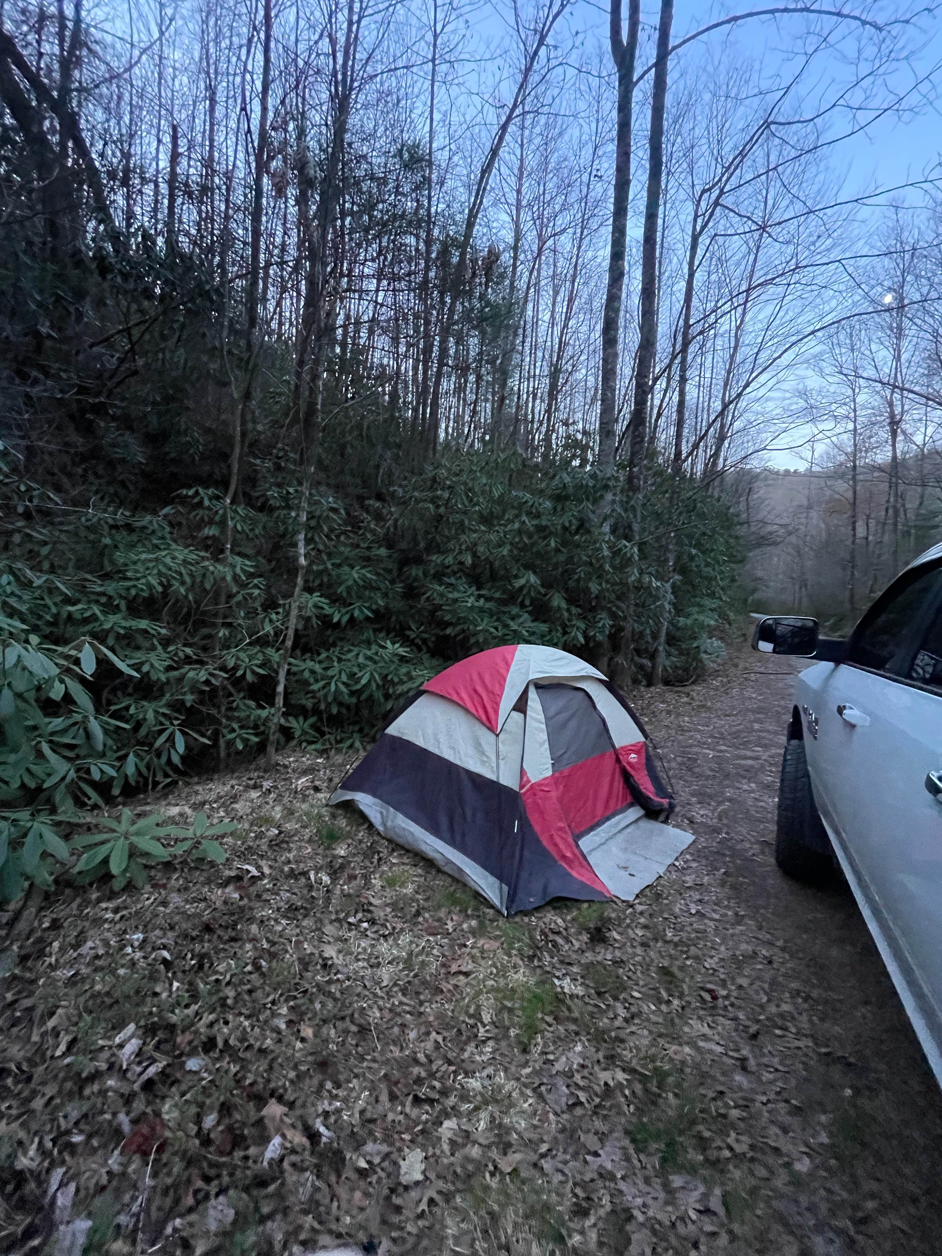 Wash Creek Dispersed Pull-Off | Mills River, NC