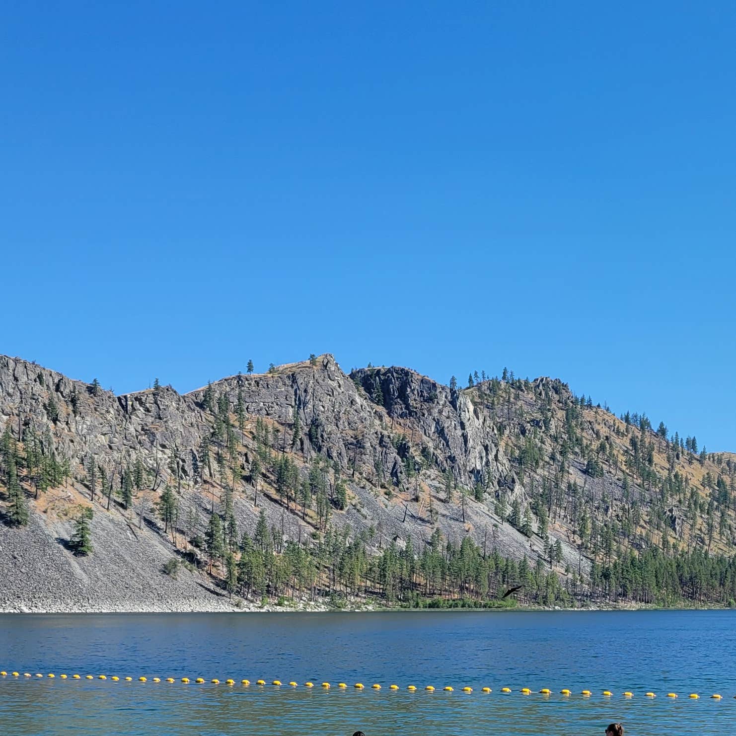 Alta Lake State Park Campground | Pateros, Washington