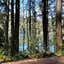 Battle Ground Lake State Park Campground | Heisson, Washington