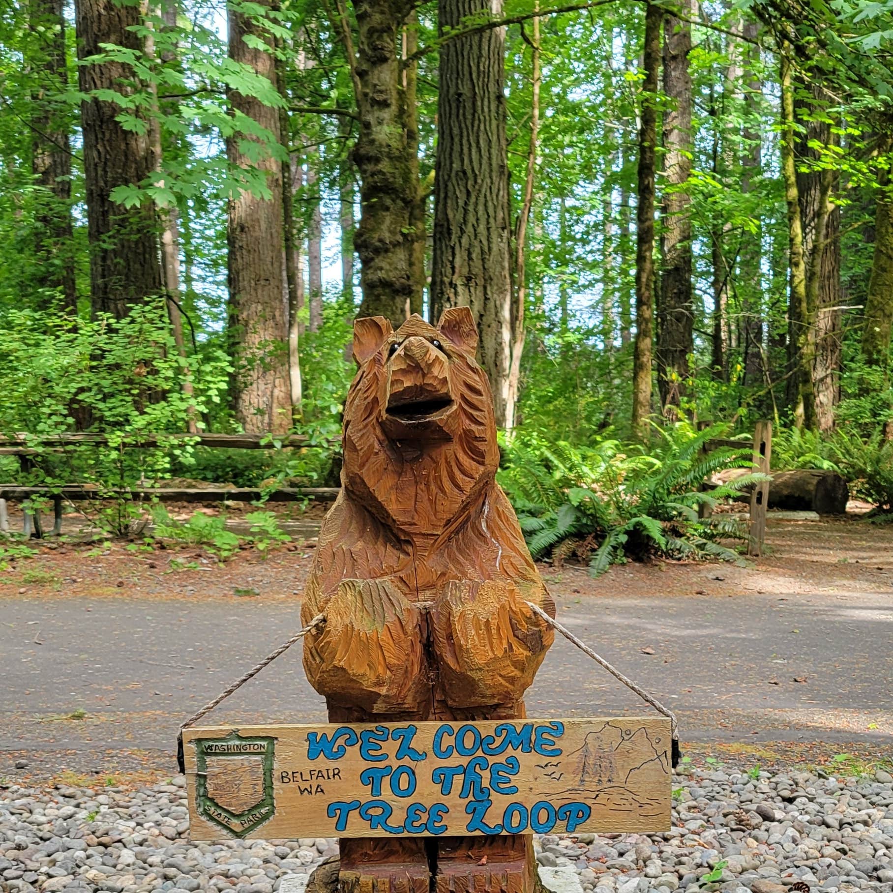 Belfair State Park Campground | Belfair, Washington
