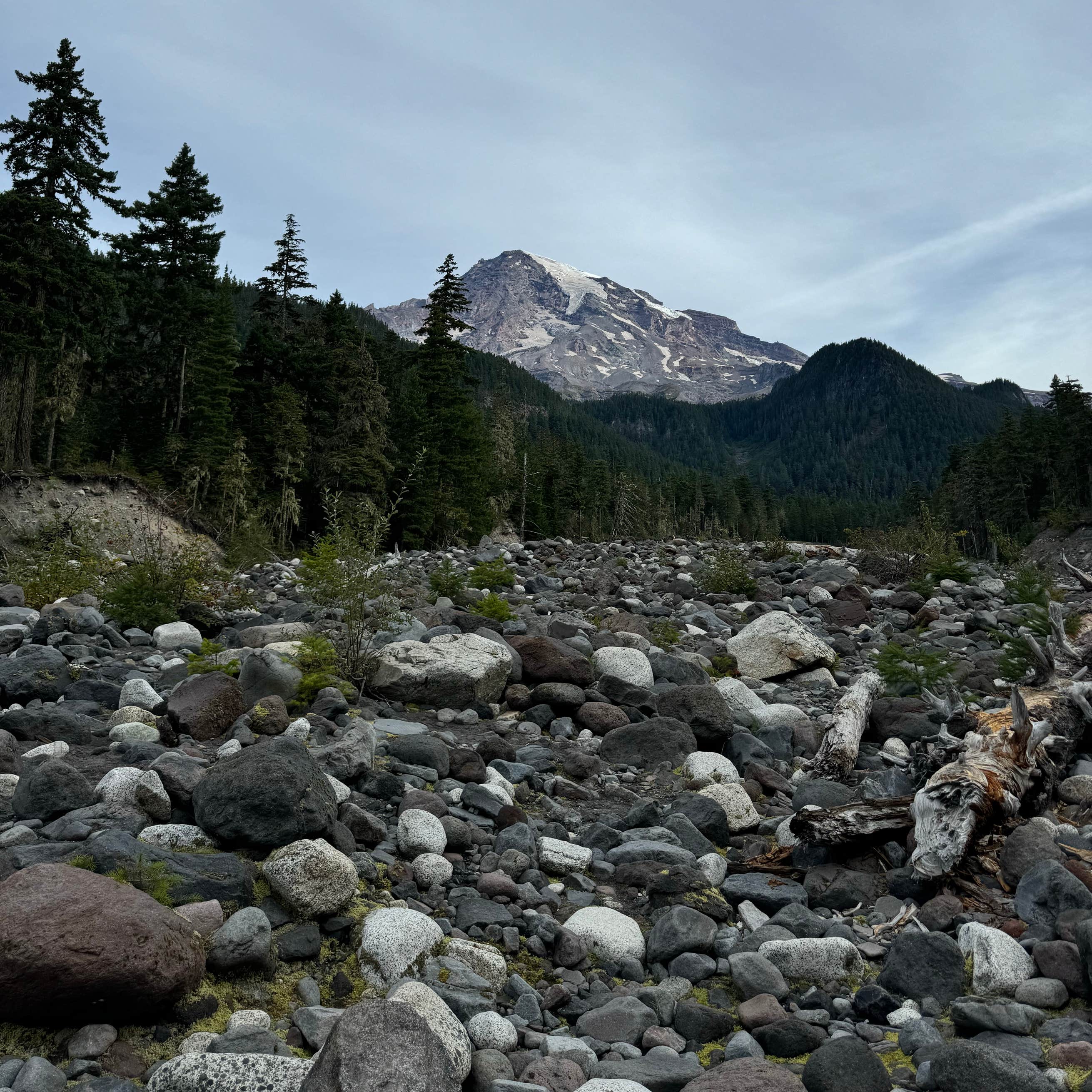 Cougar Rock Campground — Mount Rainier National Park | Longmire, WA