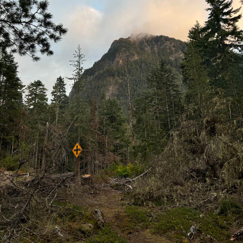 Cougar Rock Campground — Mount Rainier National Park Longmire Wa