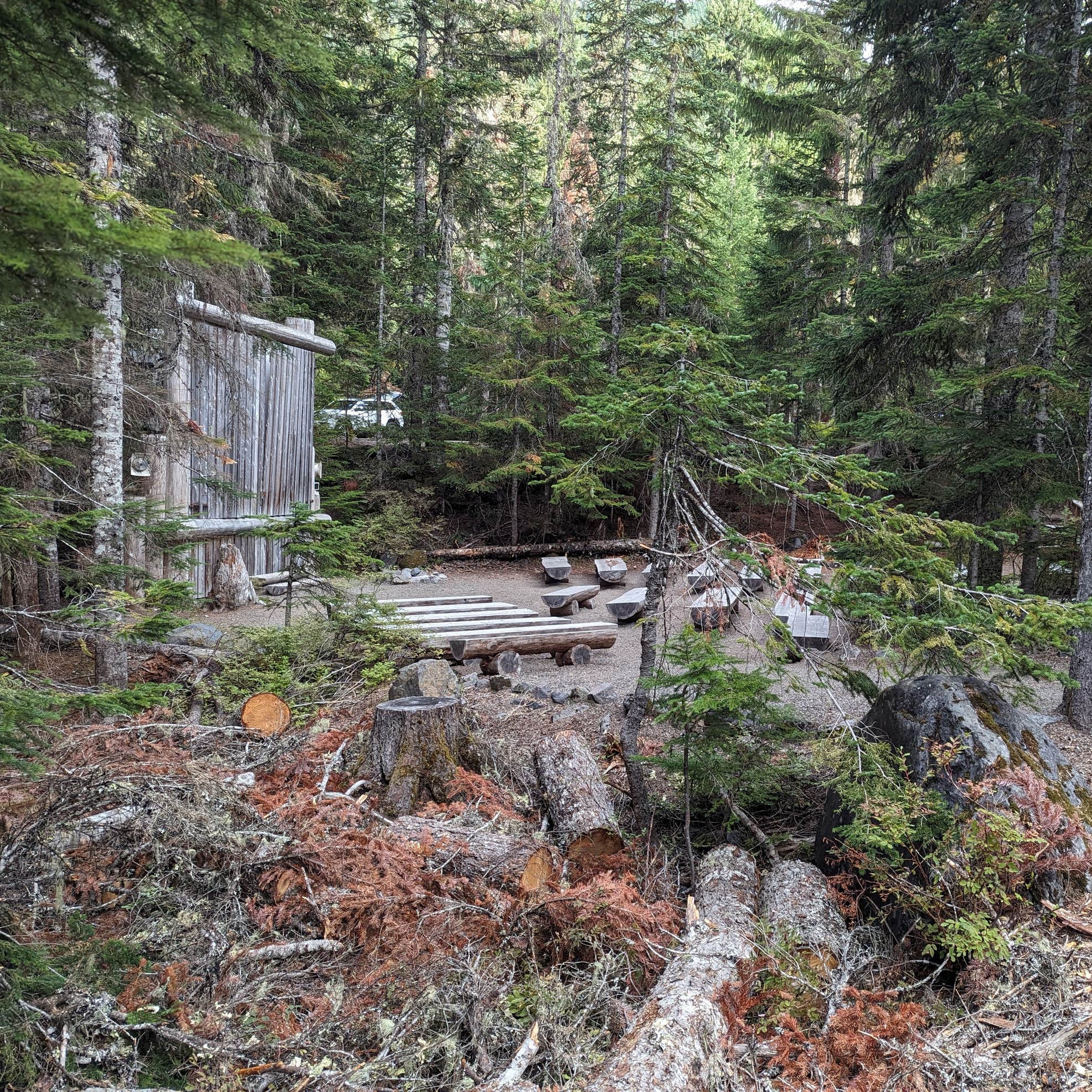 Cougar Rock Campground — Mount Rainier National Park Longmire Wa