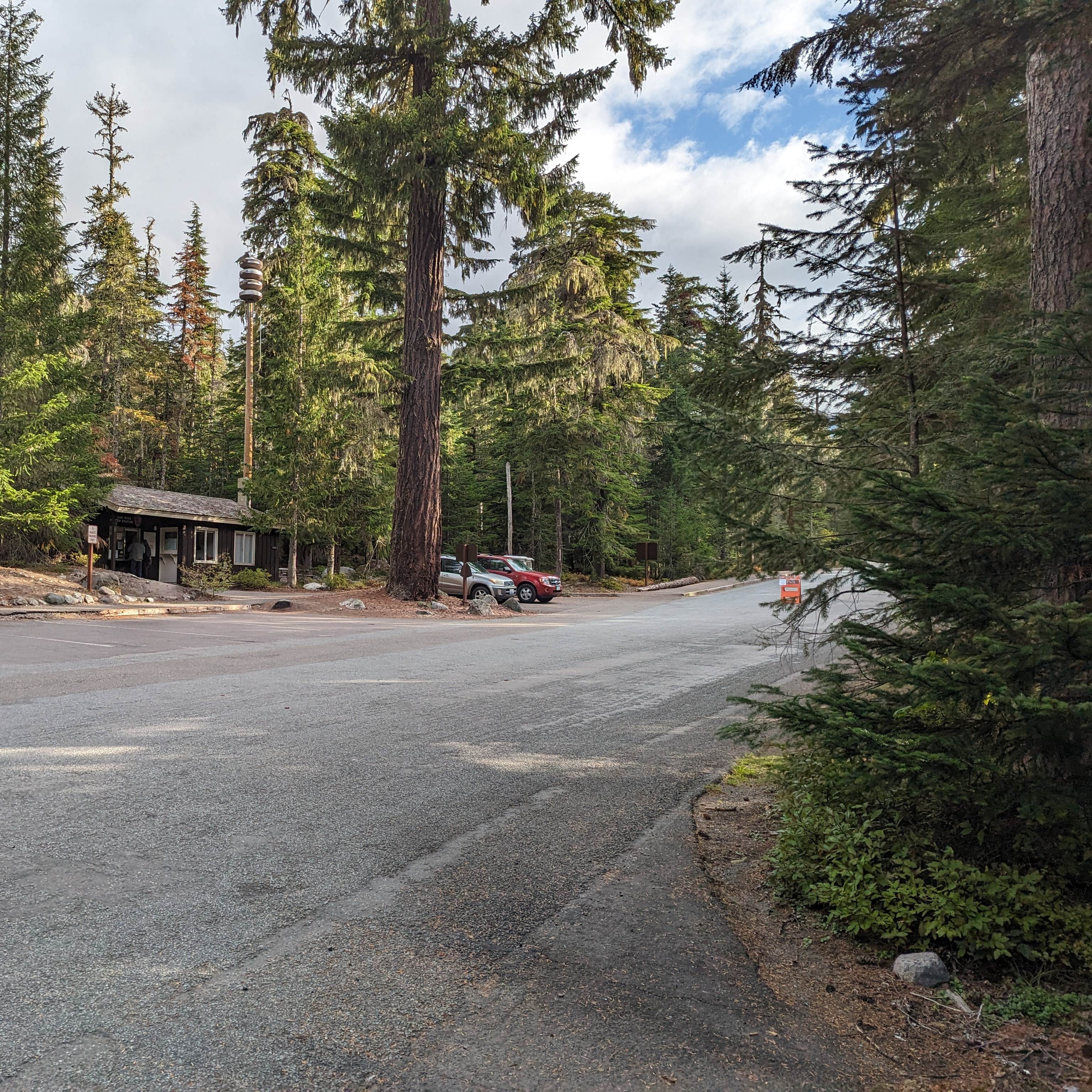 Cougar Rock Campground — Mount Rainier National Park Longmire Wa
