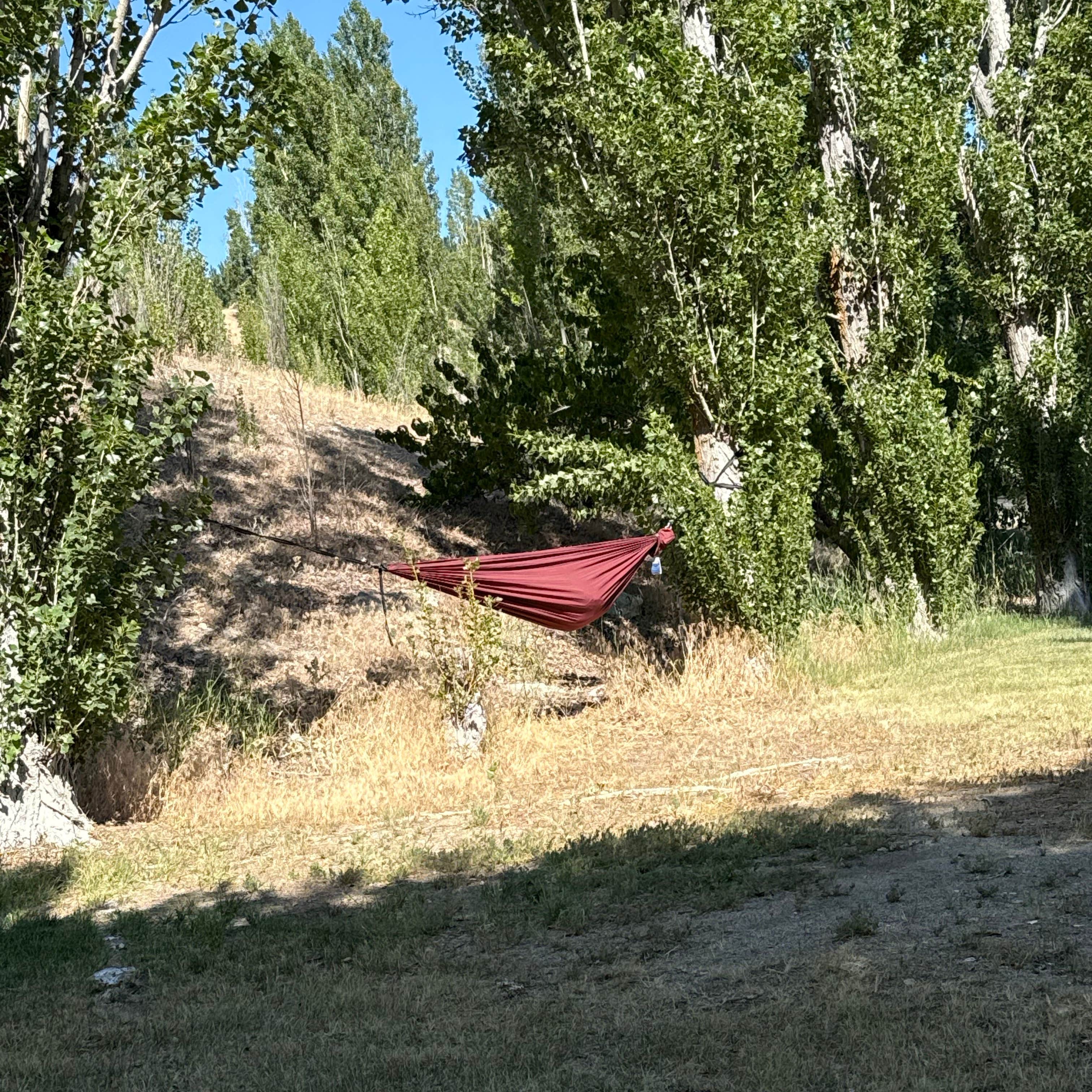 Daroga State Park Campground | Entiat, Washington
