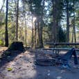 Dash Point State Park Campground | Federal Way, Washington