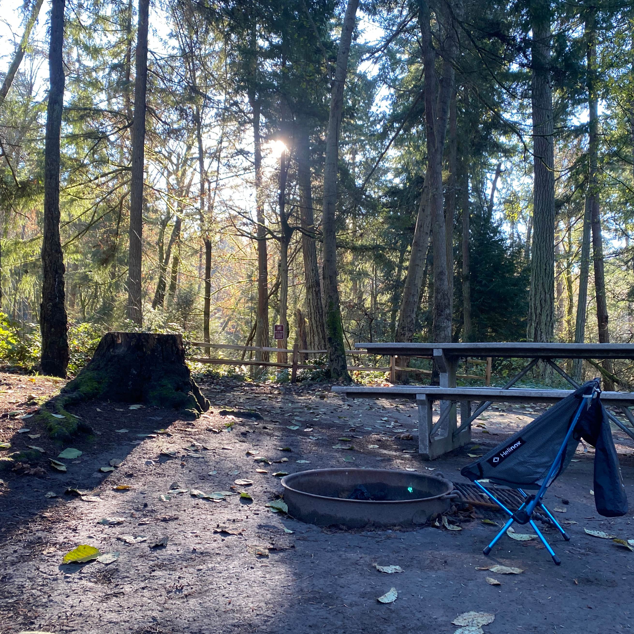 Dash Point State Park Campground | Federal Way, Washington