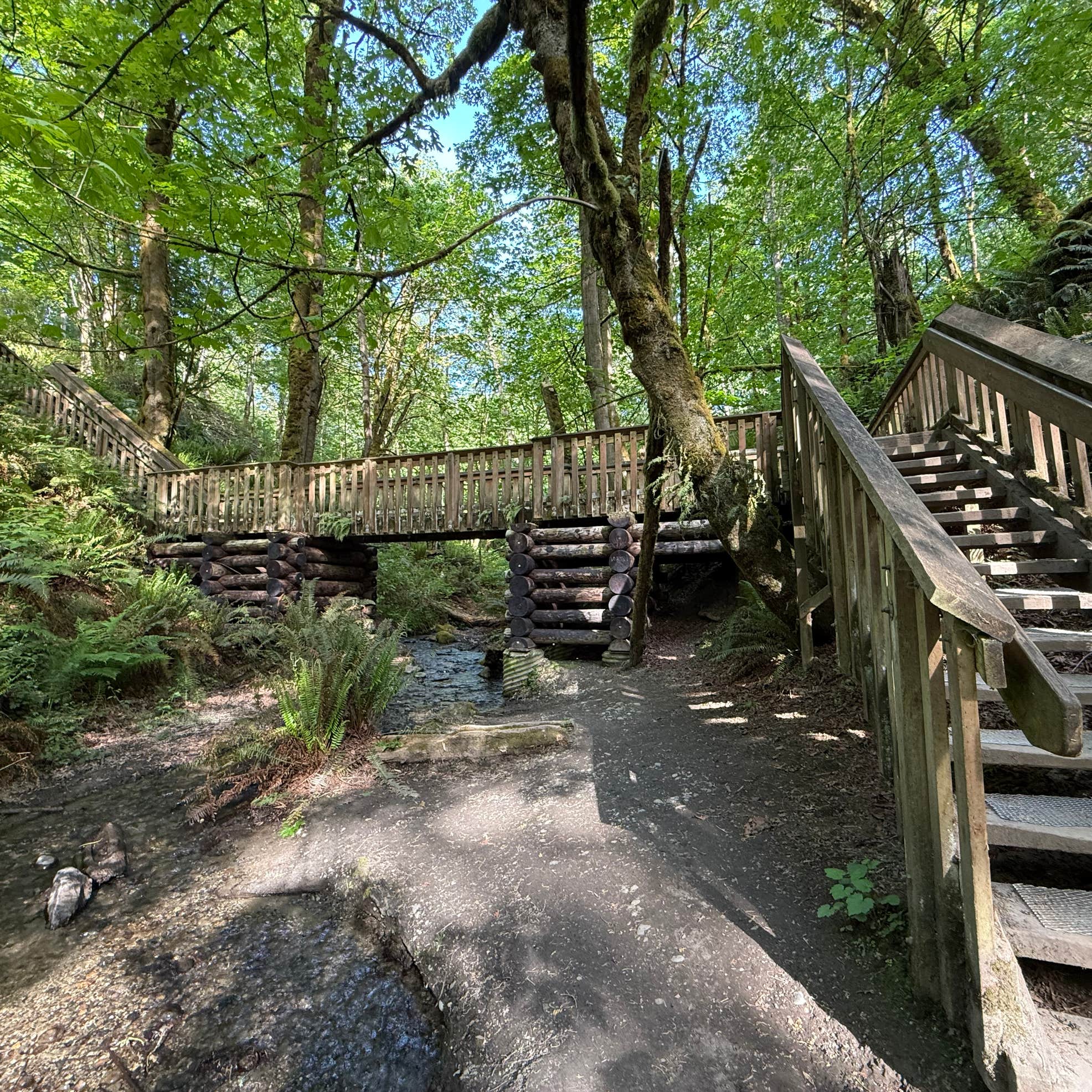 Dash Point State Park Campground | Federal Way, Washington