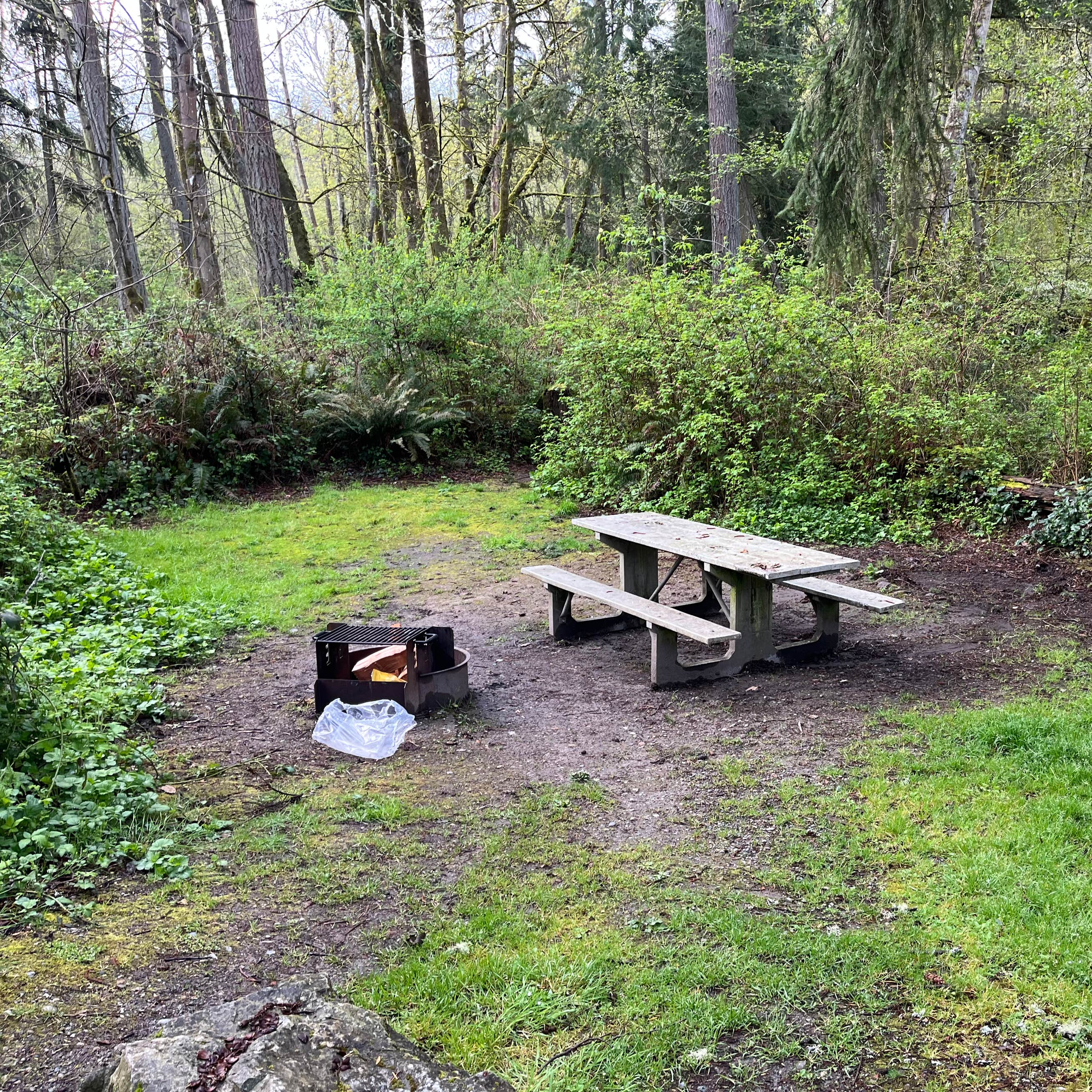 Dash Point State Park Campground | Federal Way, Washington
