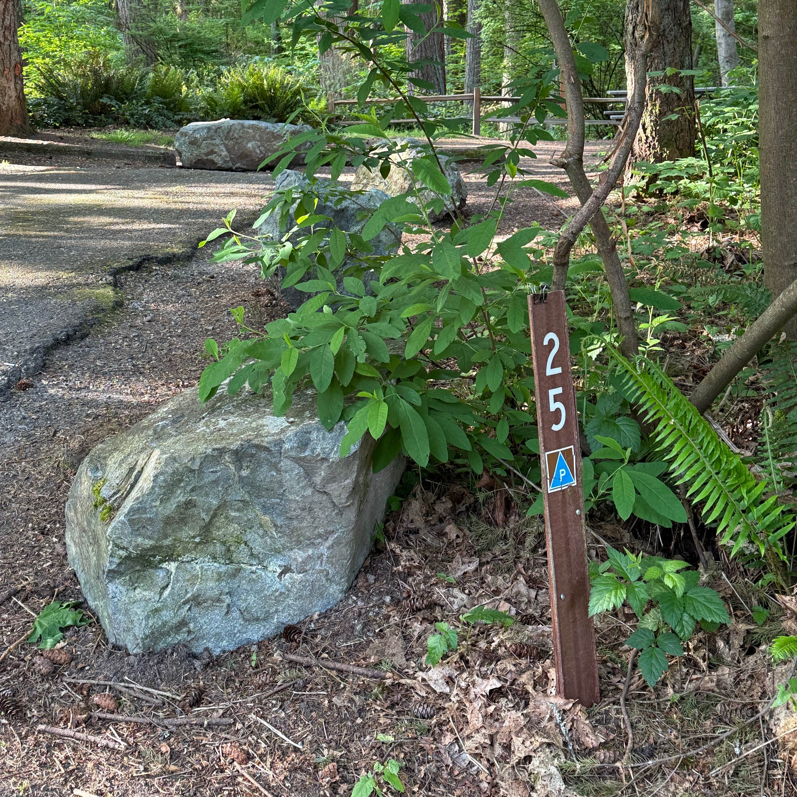 Dash Point State Park Campground | Federal Way, Washington