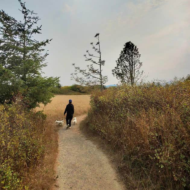 Dungeness Recreation Area Camping | Carlsborg, Washington