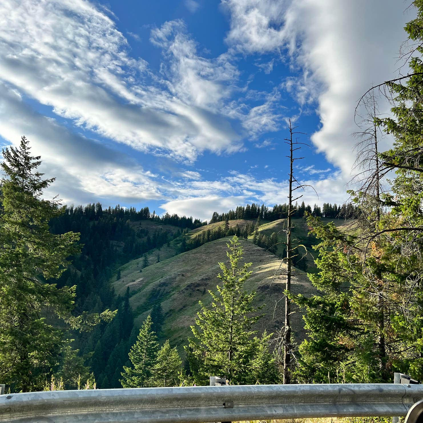 Fields Spring State Park Campground | Anatone, WA