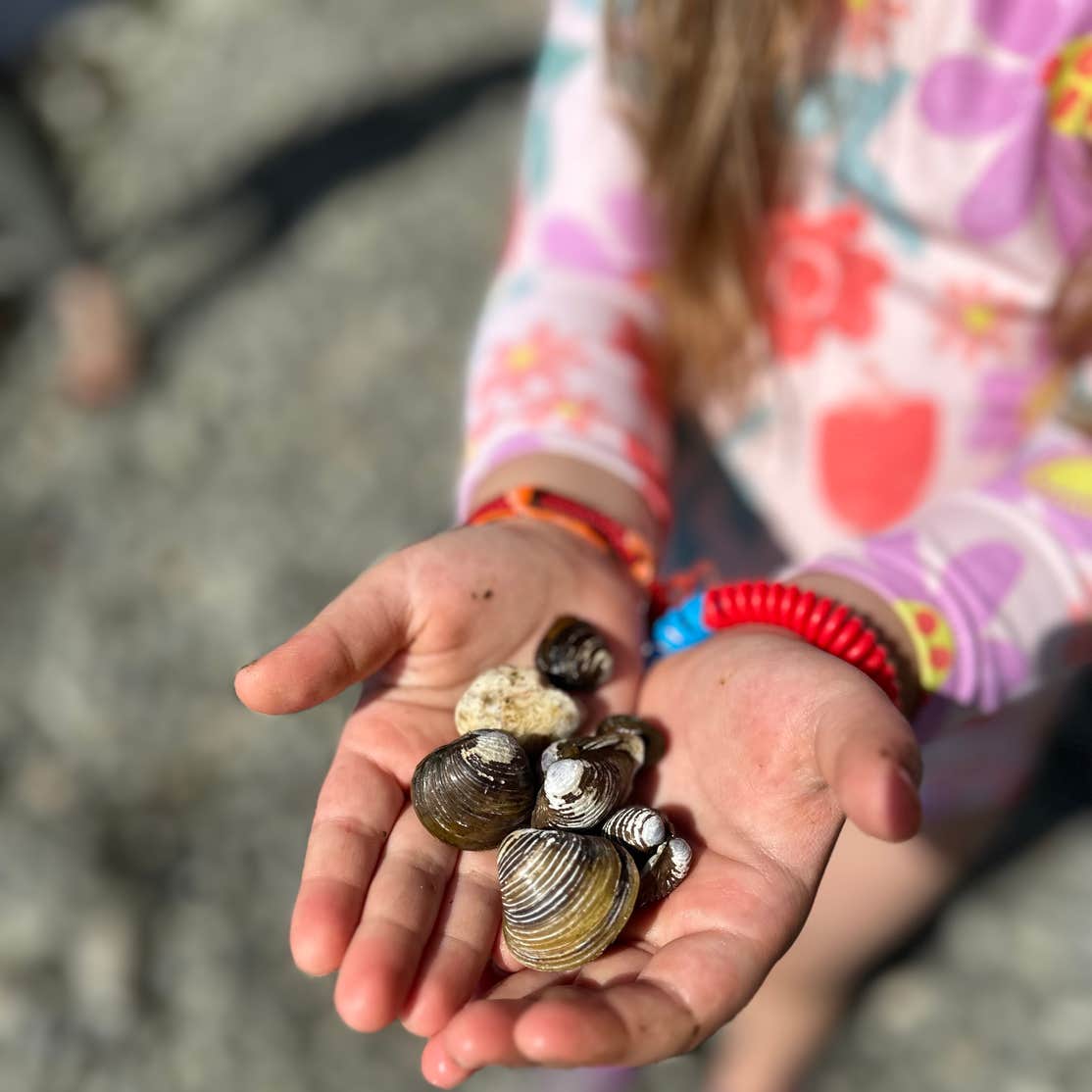 Fishhook Park Camping | Burbank, Washington