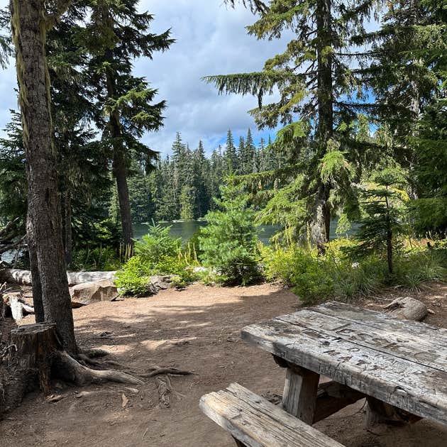 Forlorn Lakes Camping | Trout Lake, Washington